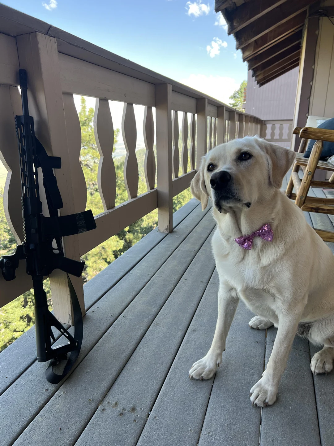 Home defense team | Scrolller