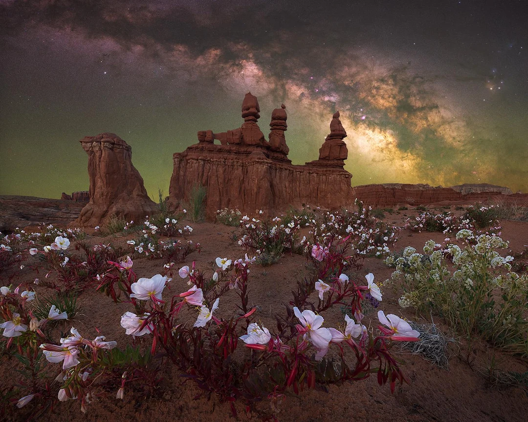 Milky Way next to wildflowers blooming in Goblin Valley, Utah | Scrolller