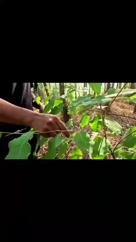 Nope...just nope... | Scrolller