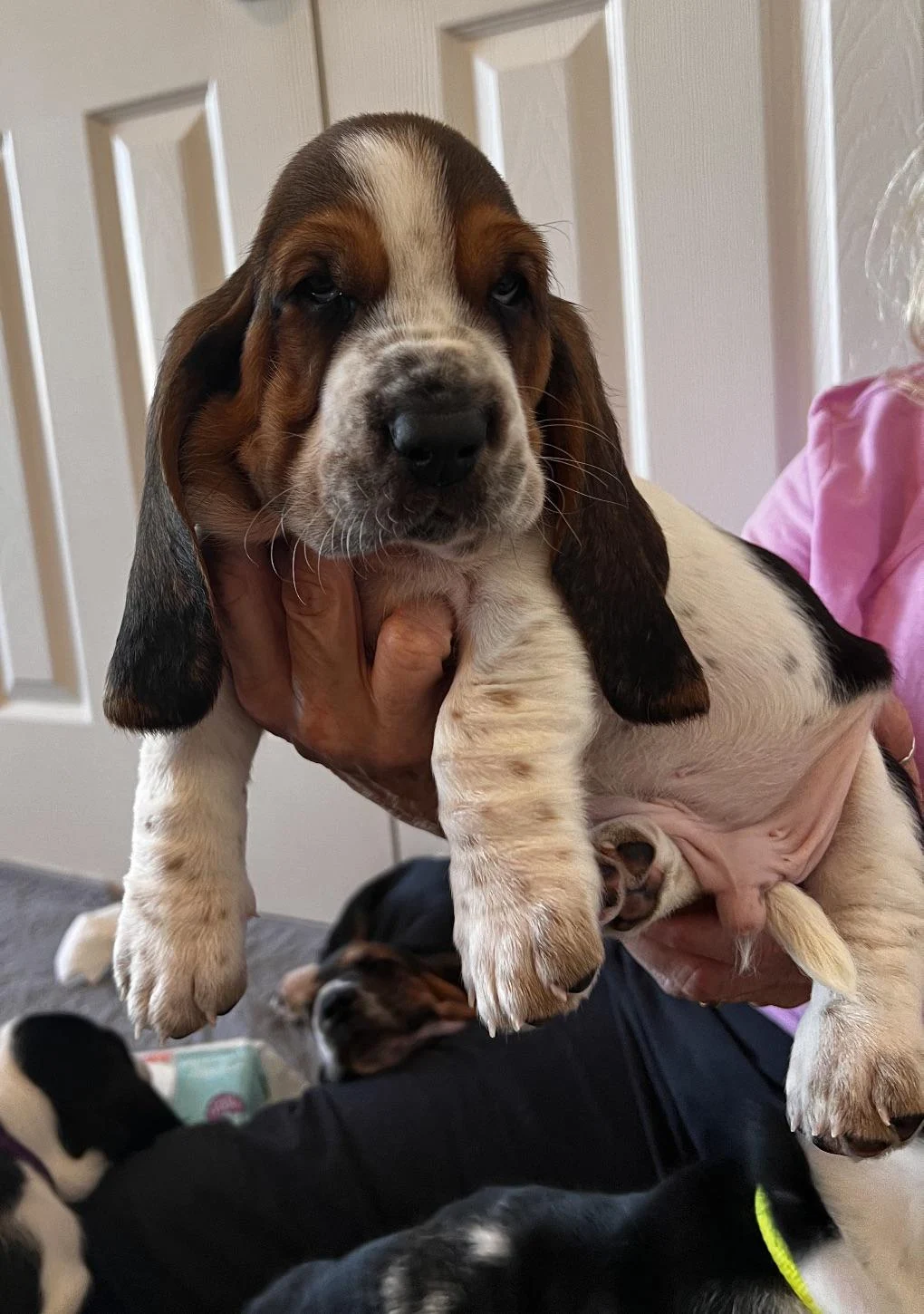 My sweet cuddle bug | Scrolller