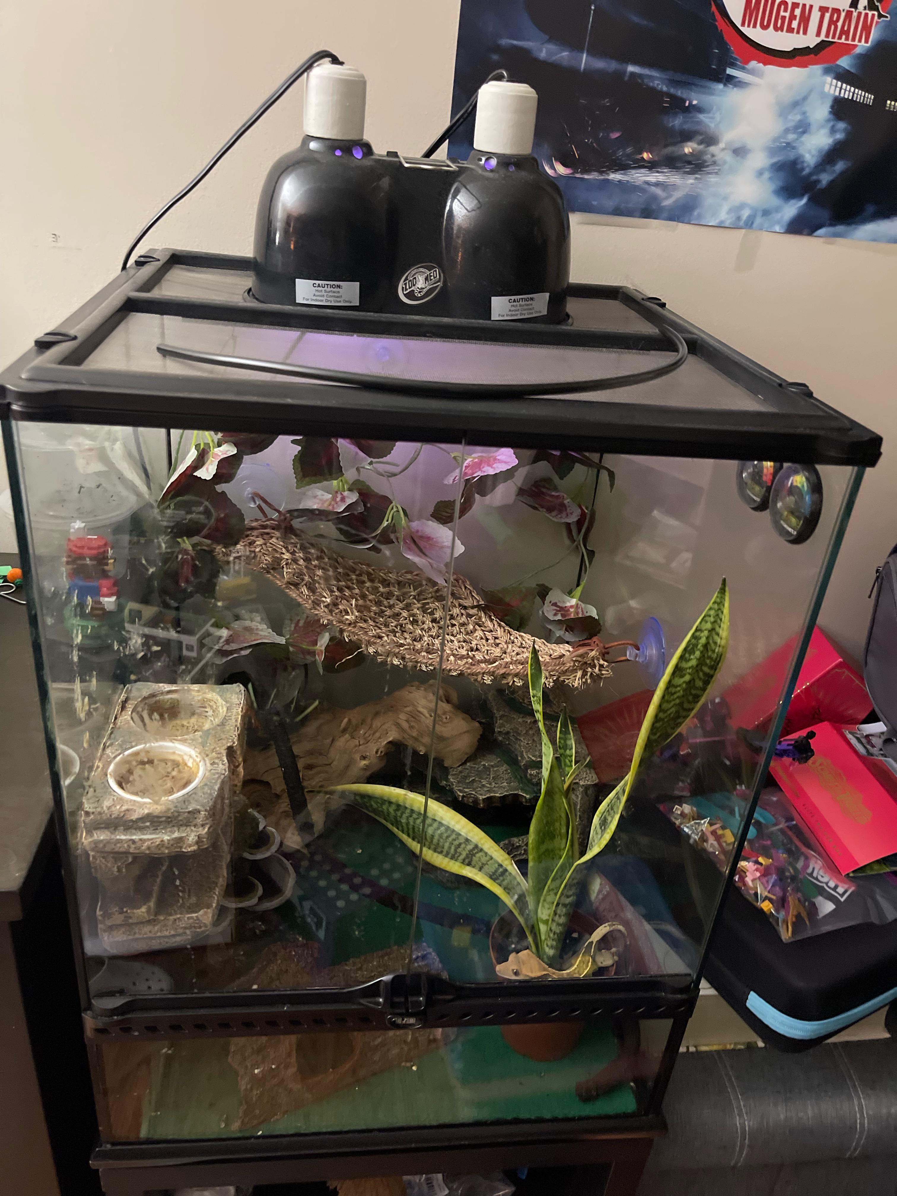Rate my enclosure | Scrolller