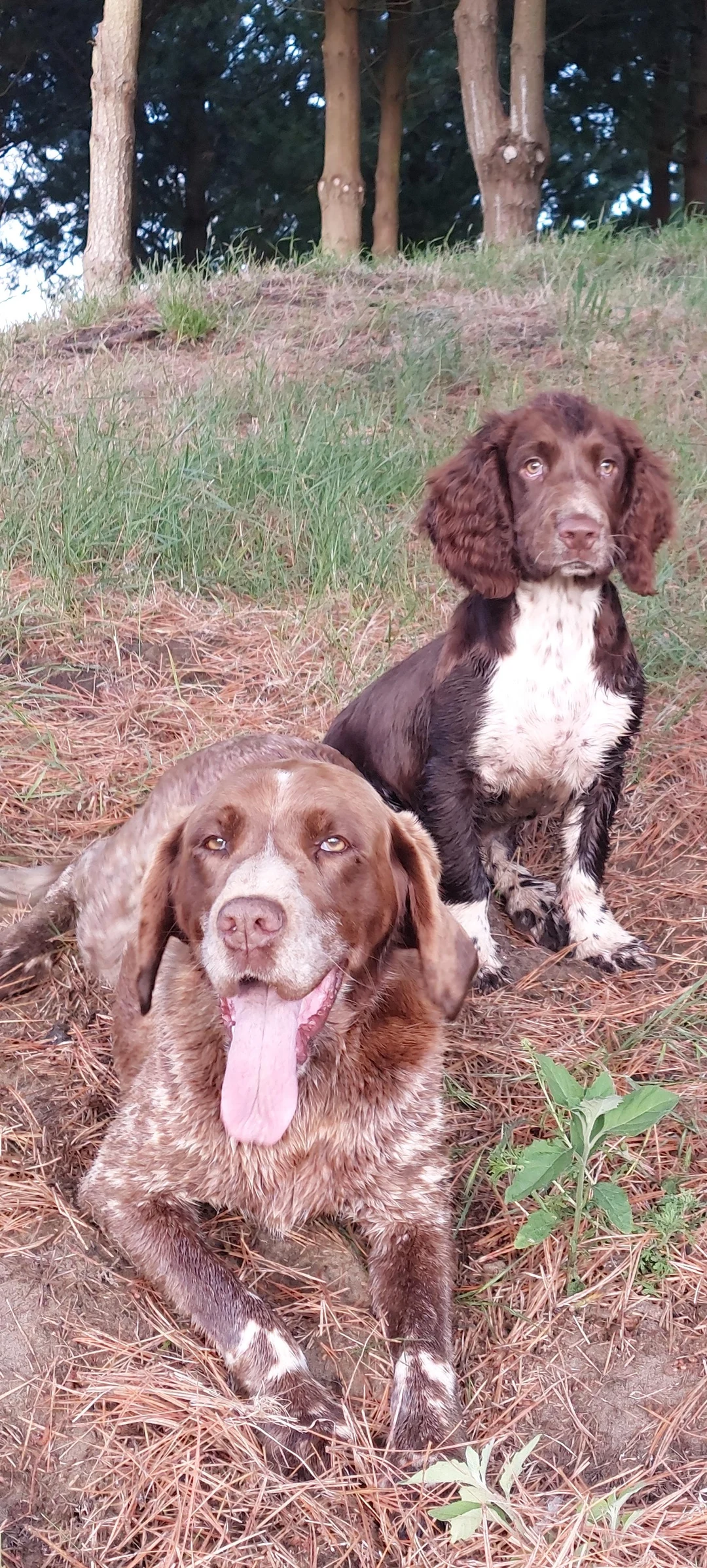 Paige and her new buddy Storm | Scrolller