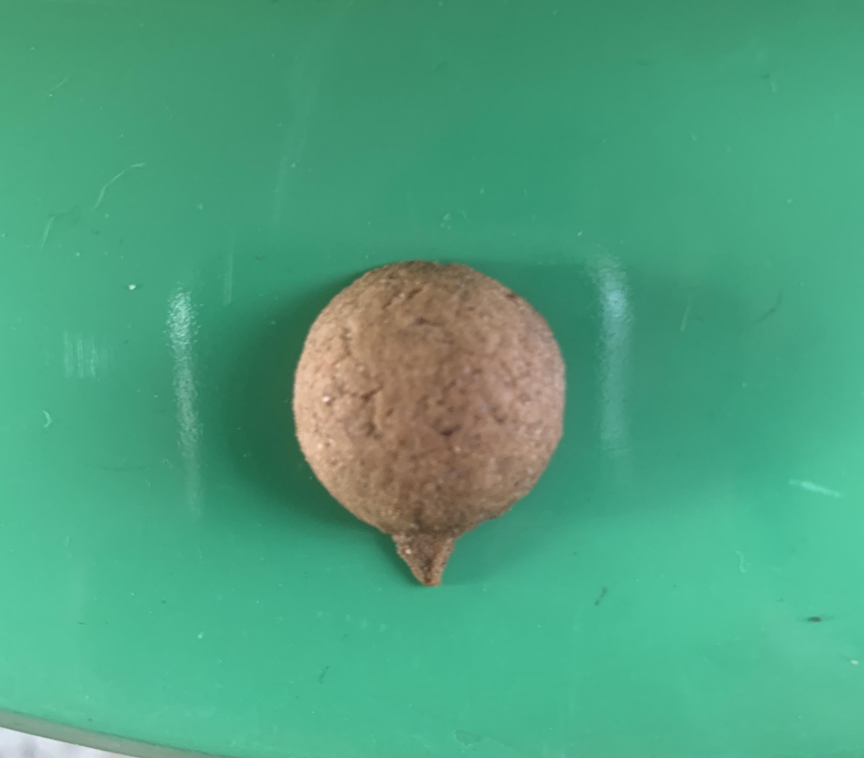 Peppernut Looks Like A Speech Bubble | Scrolller