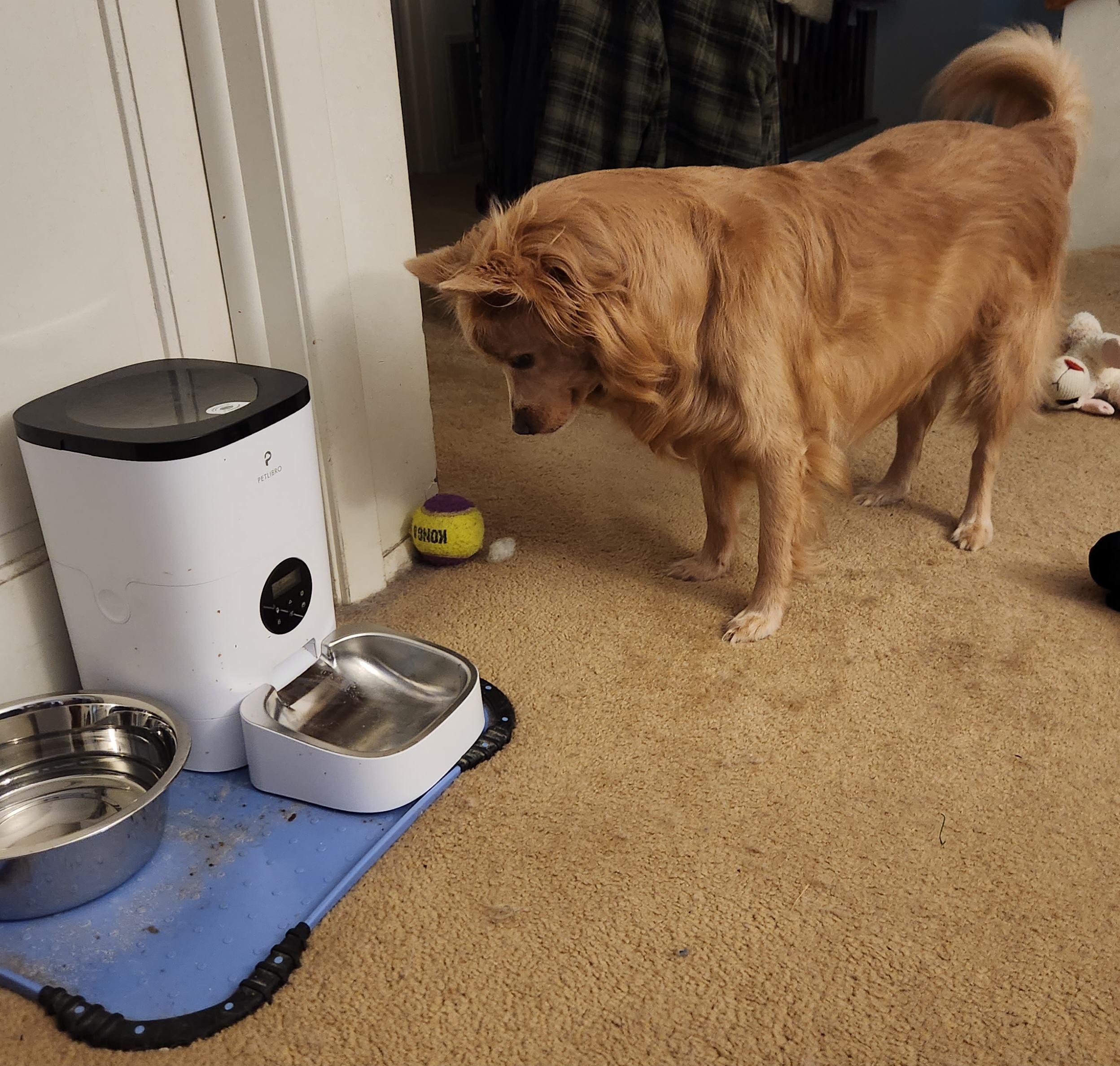 The waiting is the hardest part | Scrolller