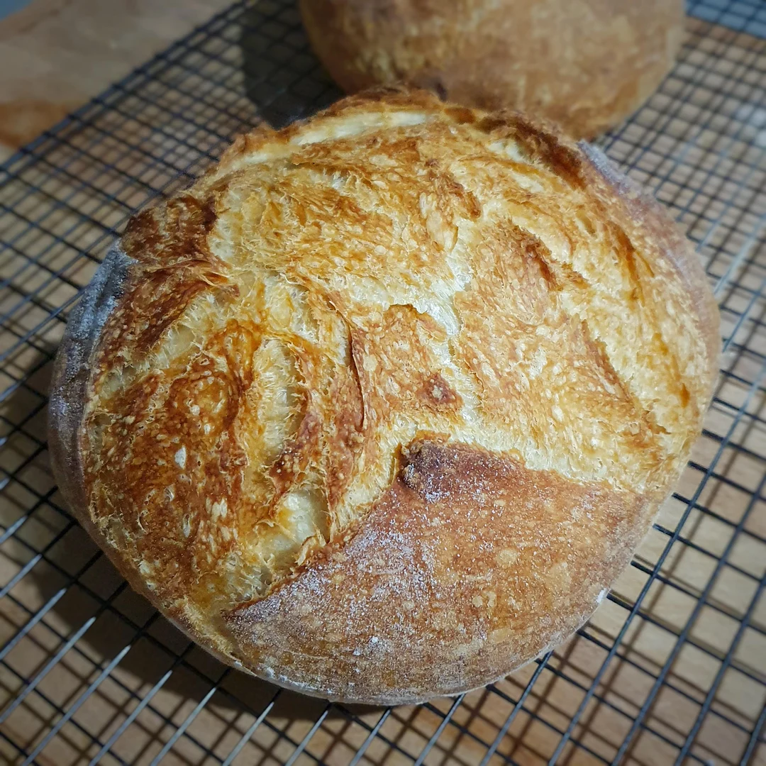 Getting the hang of shaping boules! | Scrolller