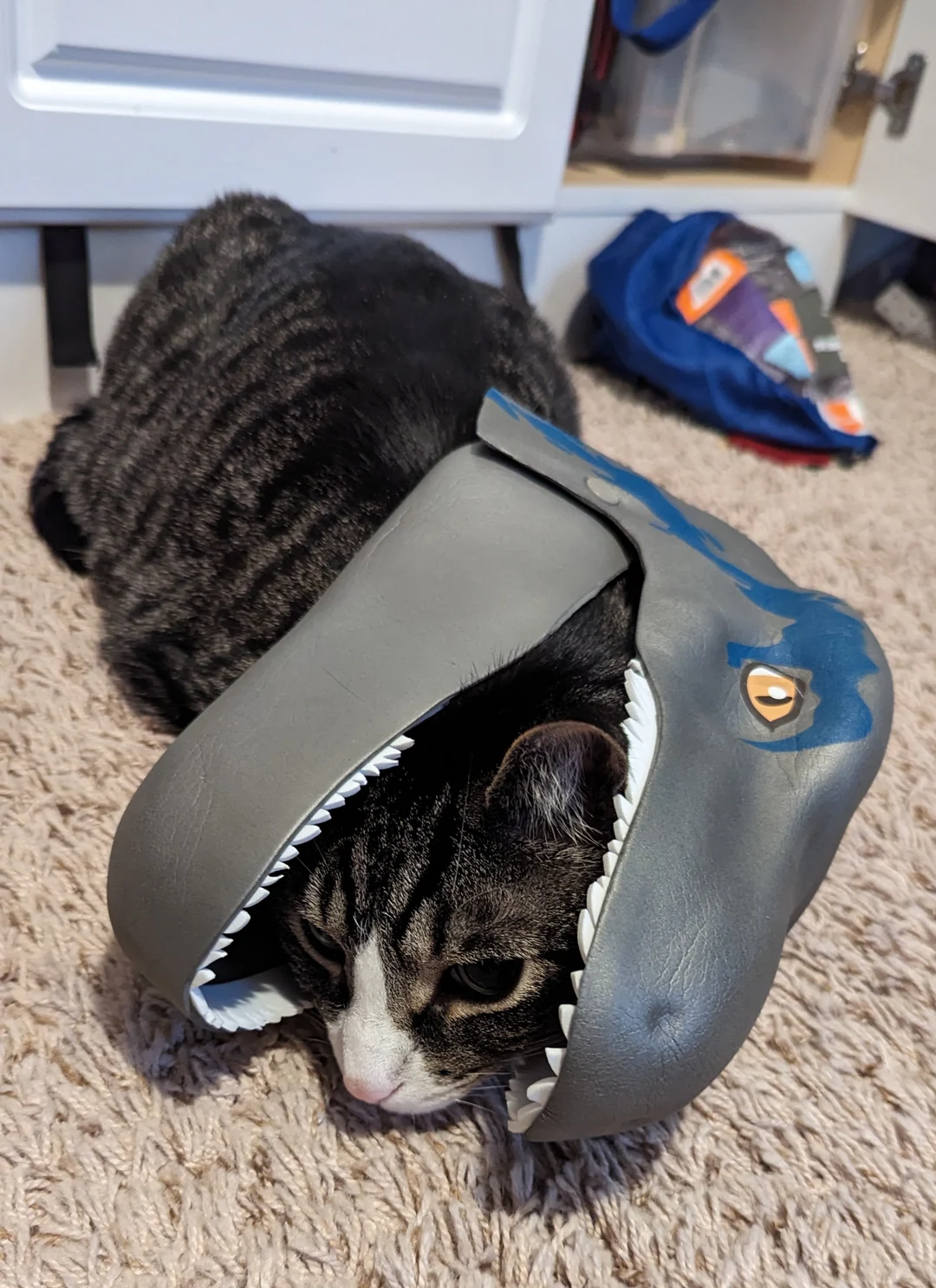 "clever girl" | Scrolller