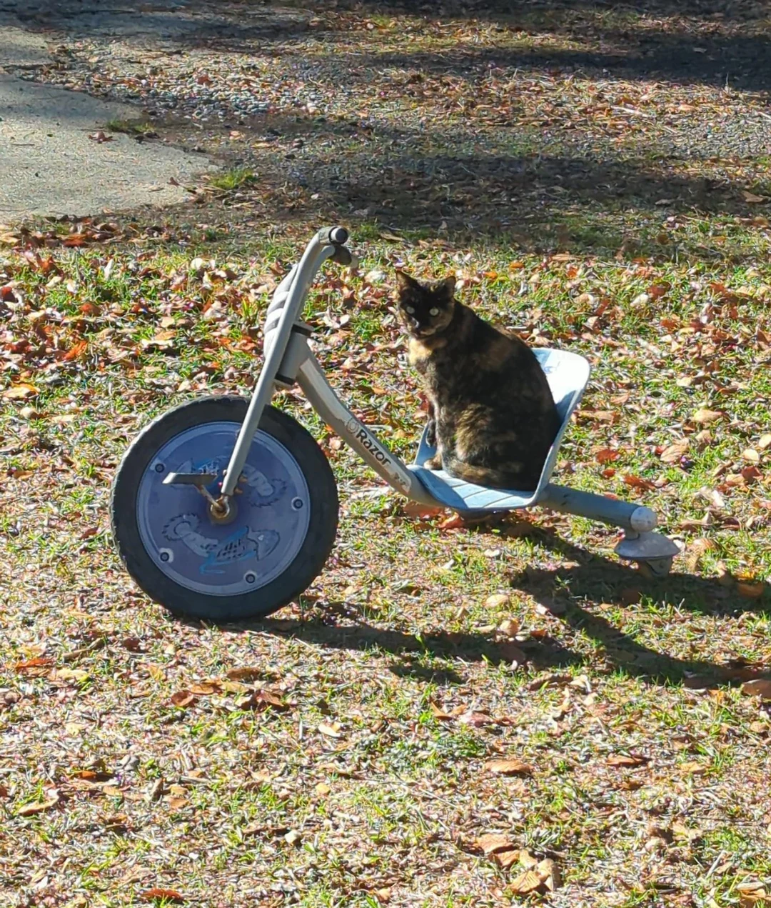 Your Uber has arrived. | Scrolller