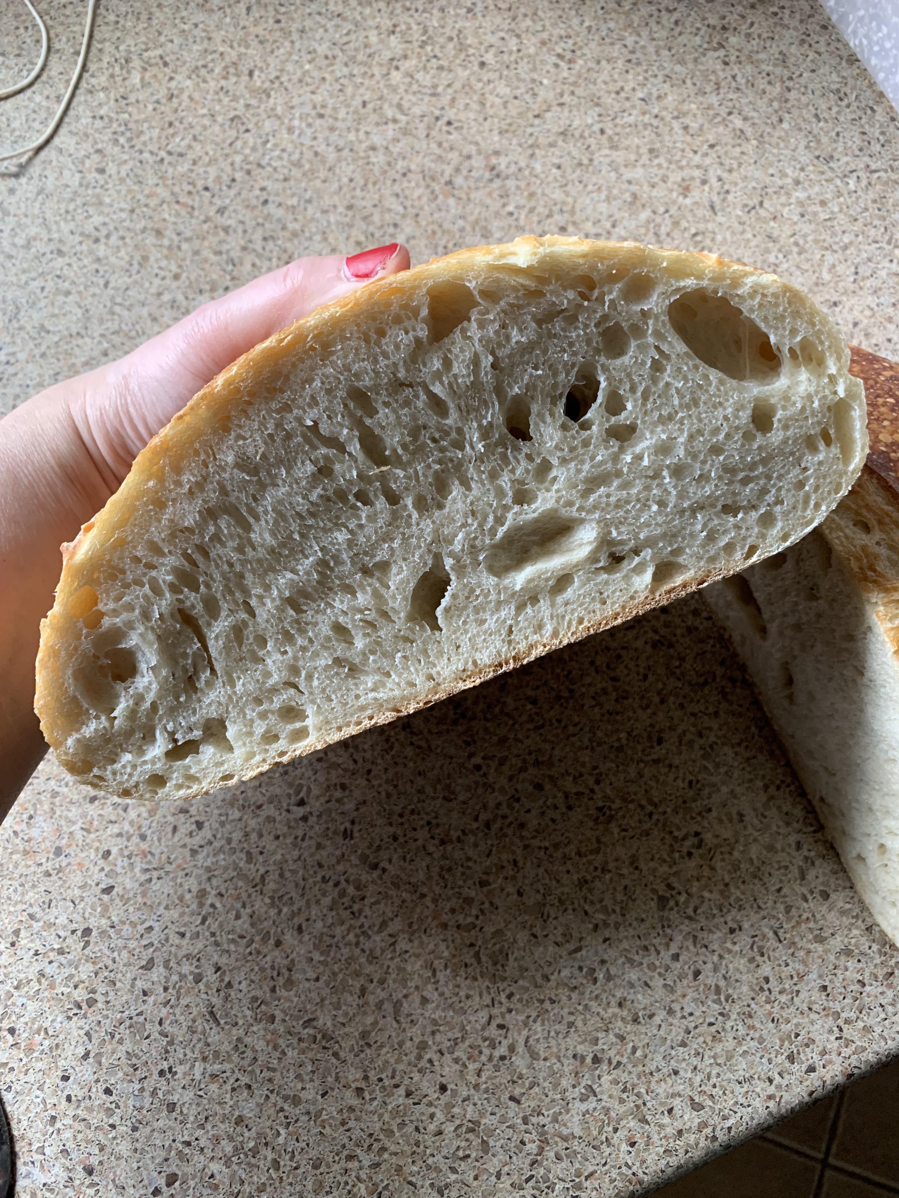 Discover more like Breadit: Sourdough crumb picture and Related Content | Scrolller