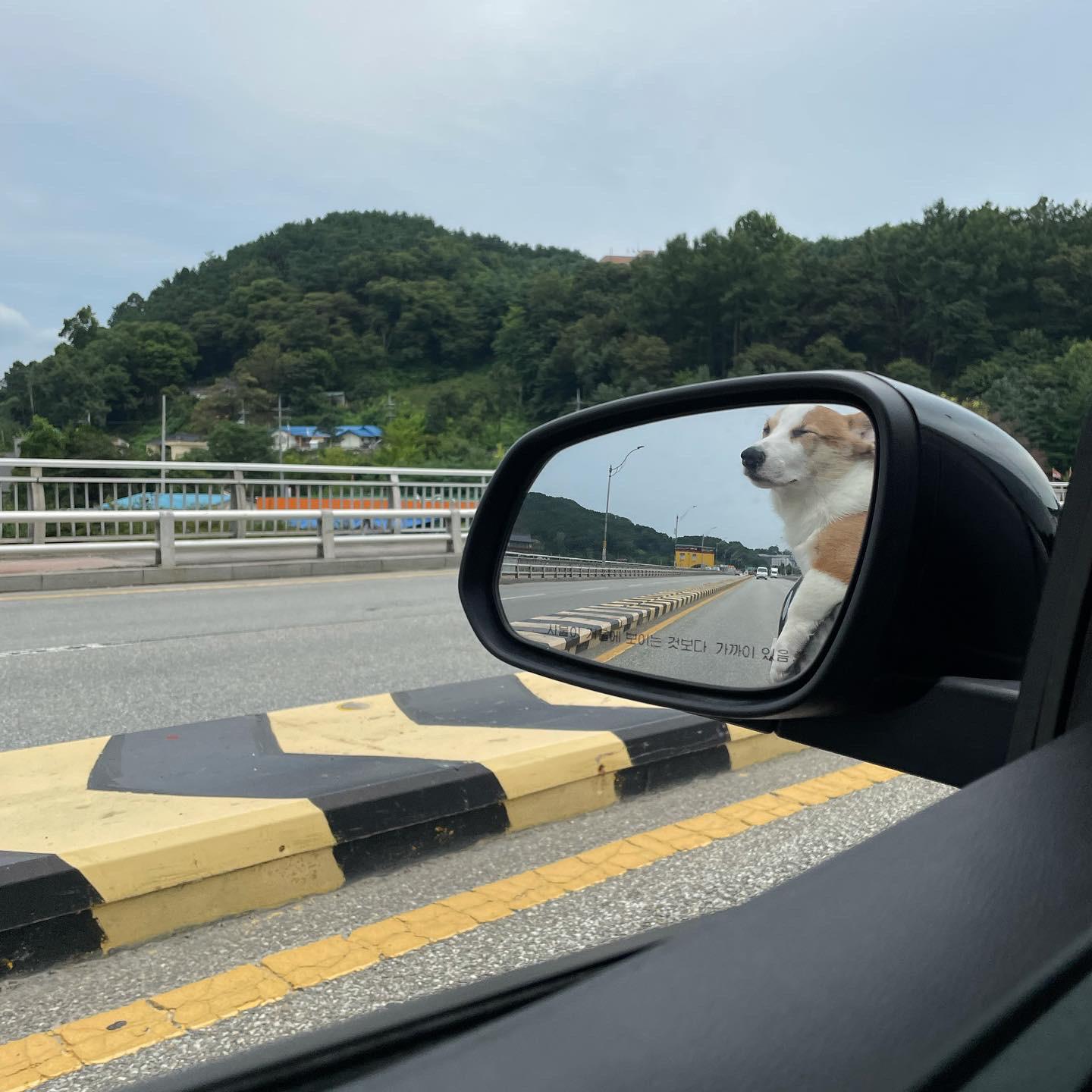 Show me your fave passenger princess pics! | Scrolller