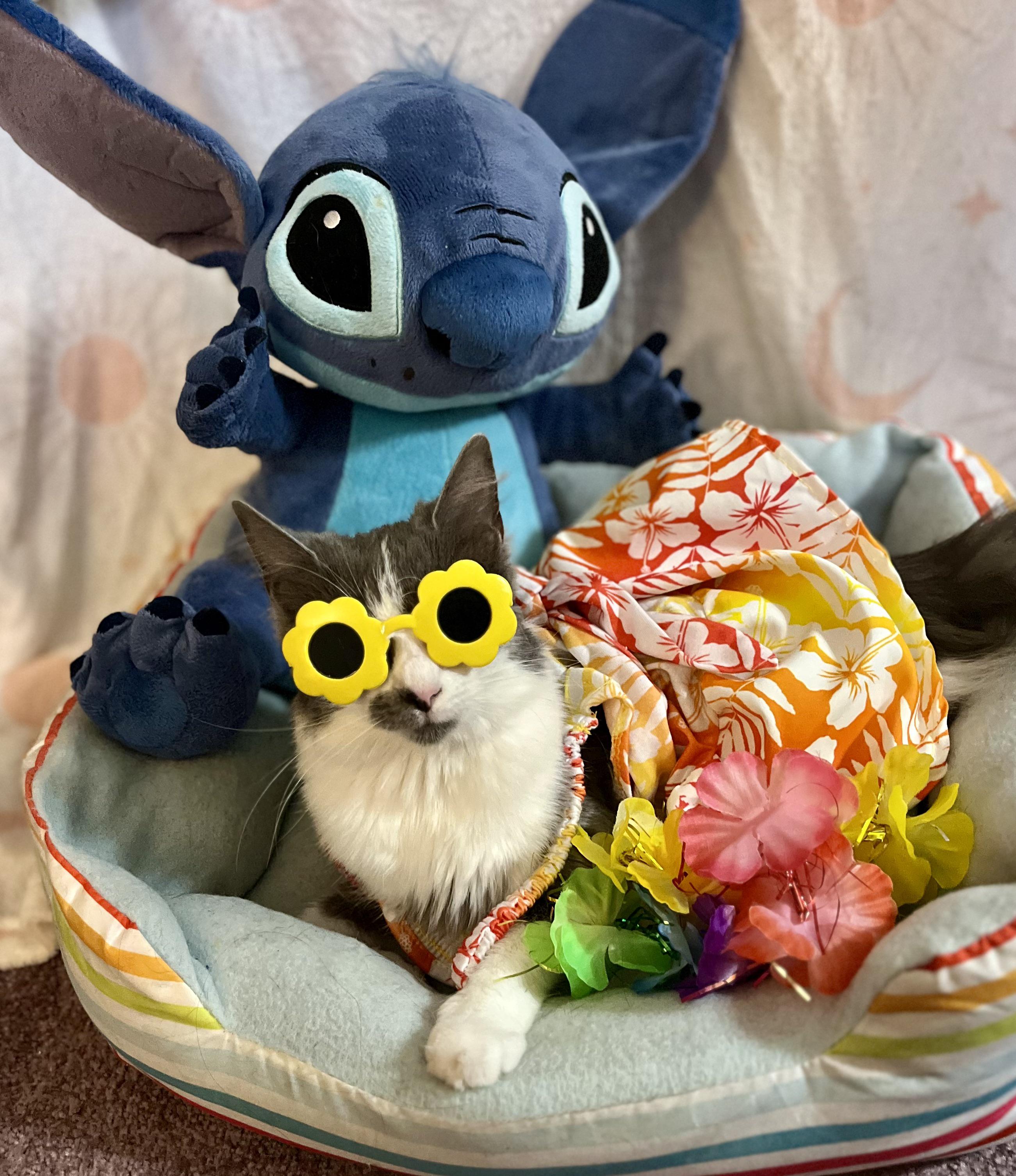 Lilo and Stitch | Scrolller