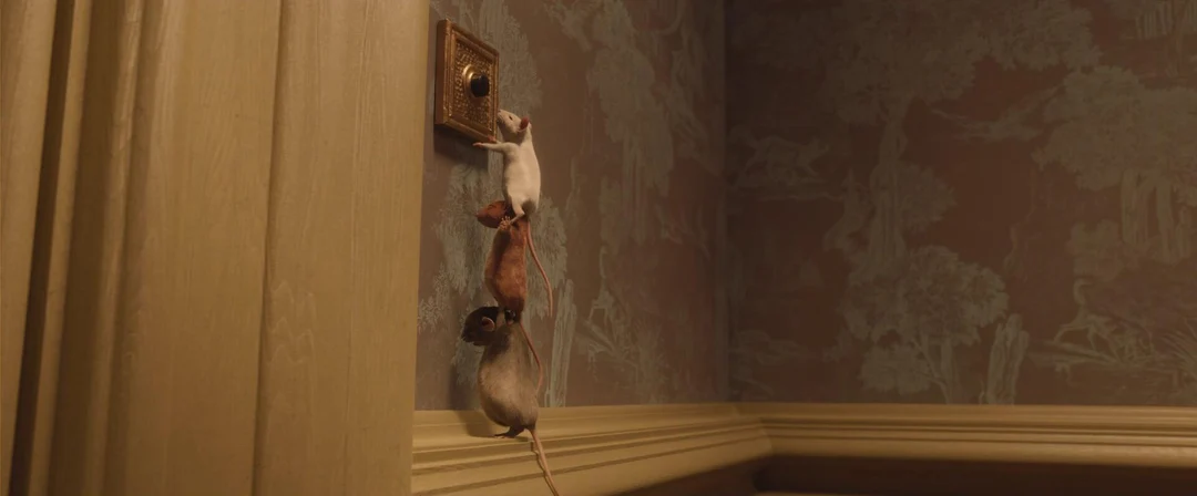 3 Mice by Jared Michael | Scrolller