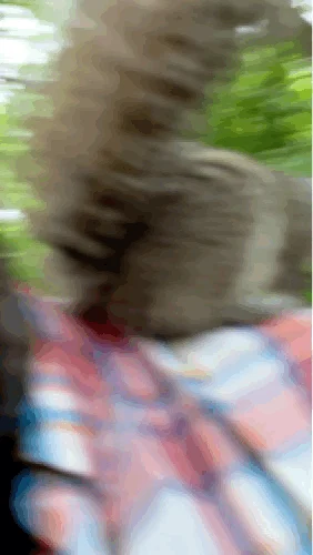 Samuel showing me her twerking skills 😅 | Scrolller