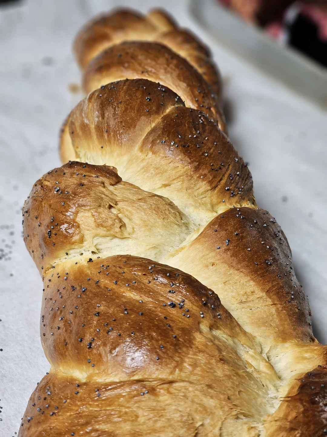 Discover more like Breadit: Challah! and Related Content | Scrolller