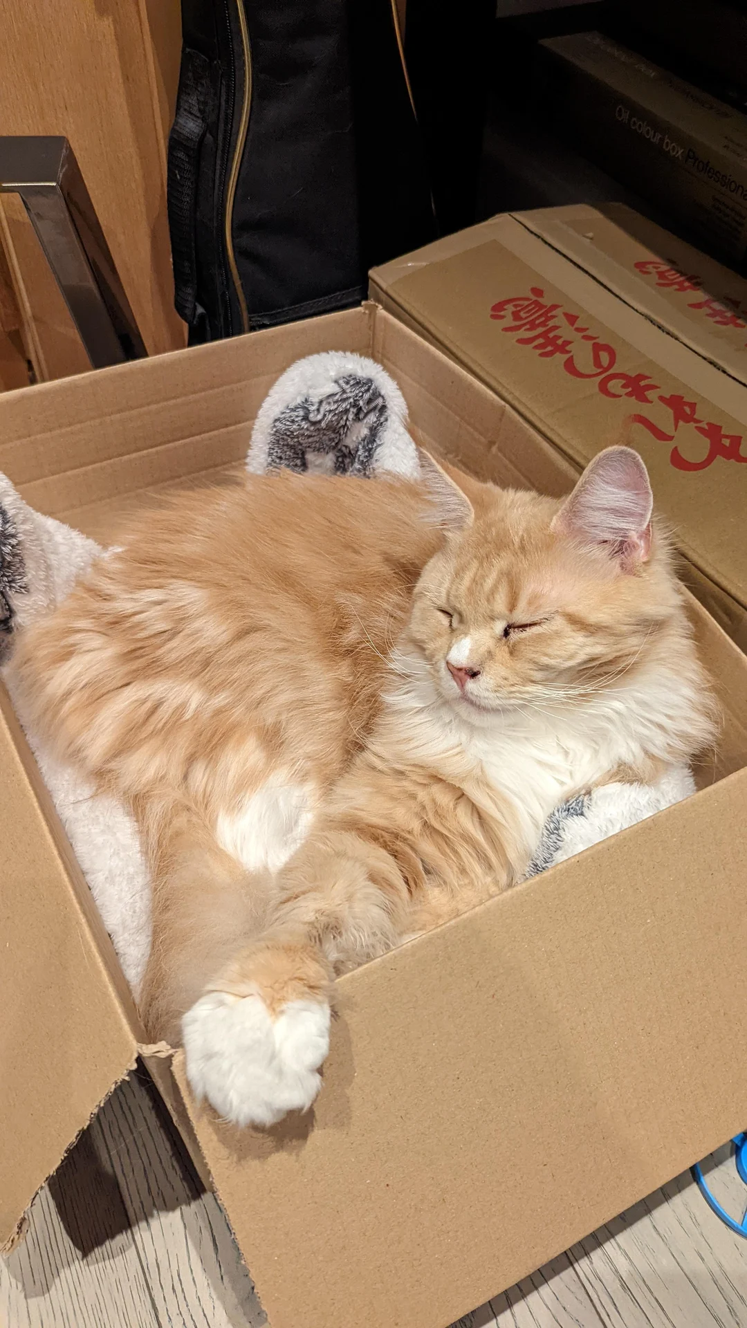 Napping, who dis? | Scrolller