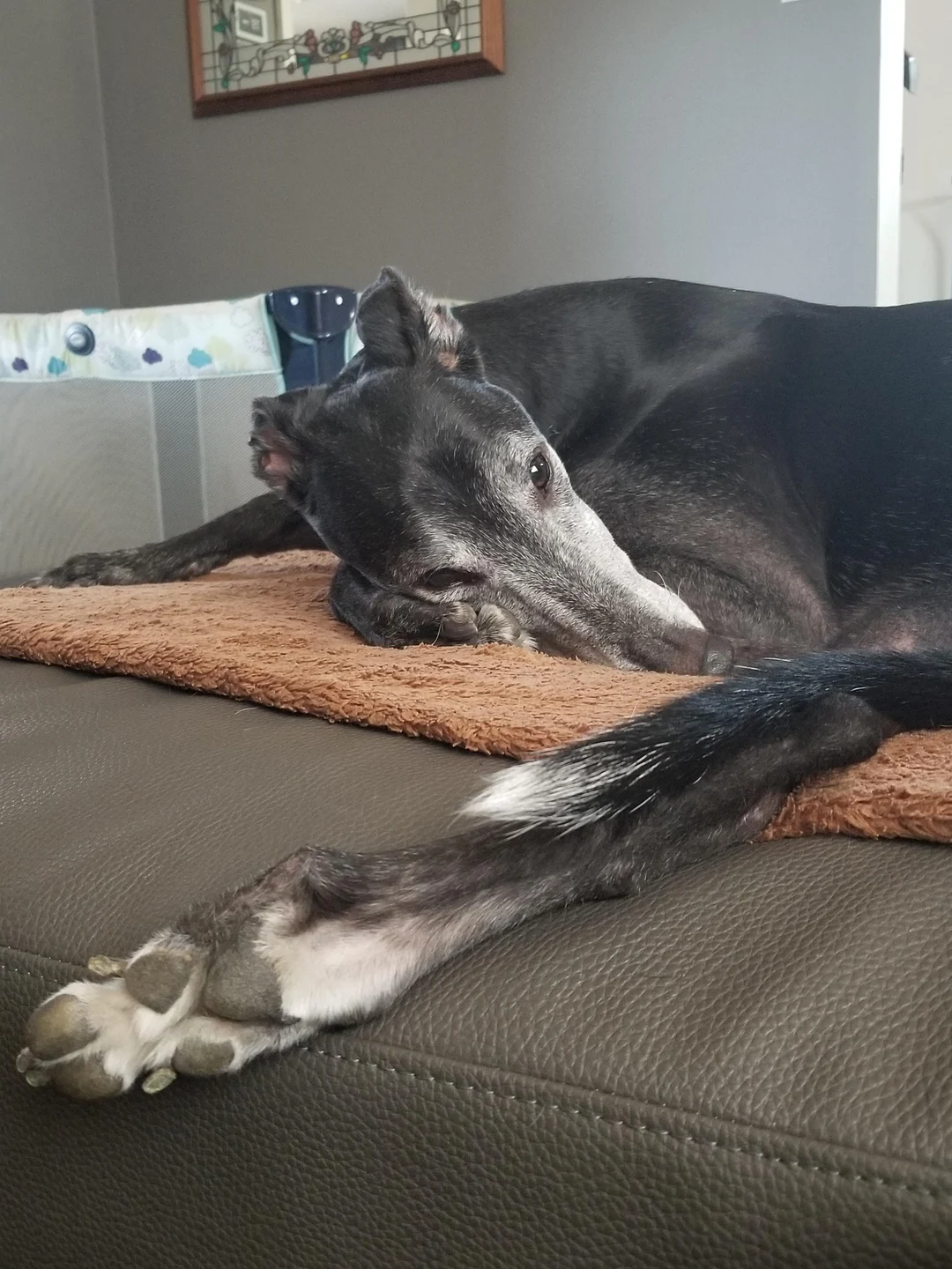 Toes out Tuesday? | Scrolller