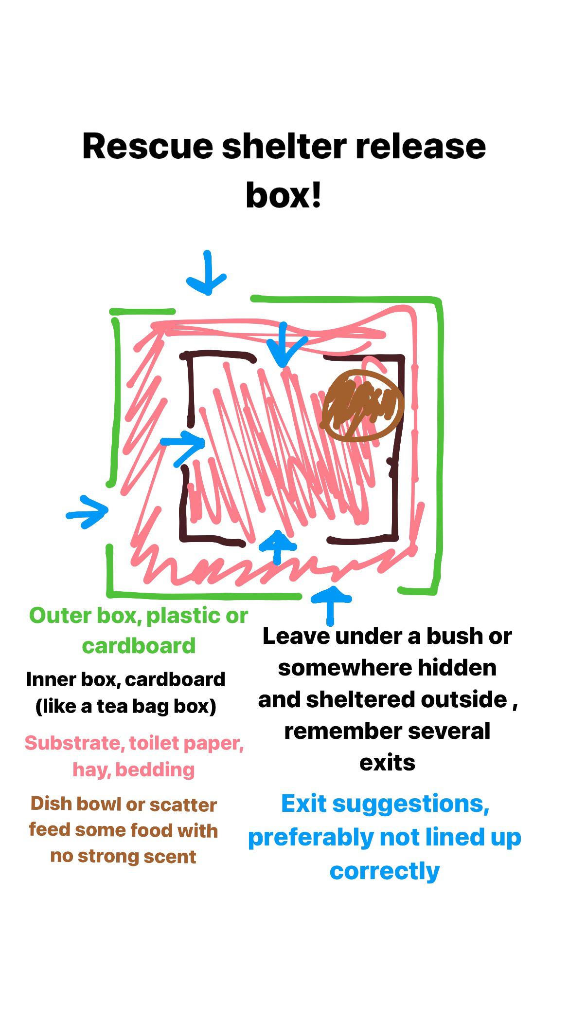 What I did for my rescue wild mice when I had to release them, more info in the comments ...