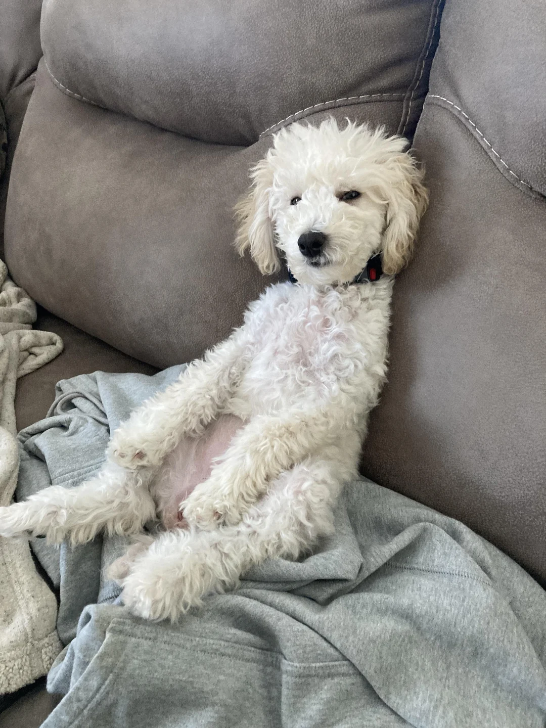 Came out of the shower to see her like this. Such a weirdo. | Scrolller