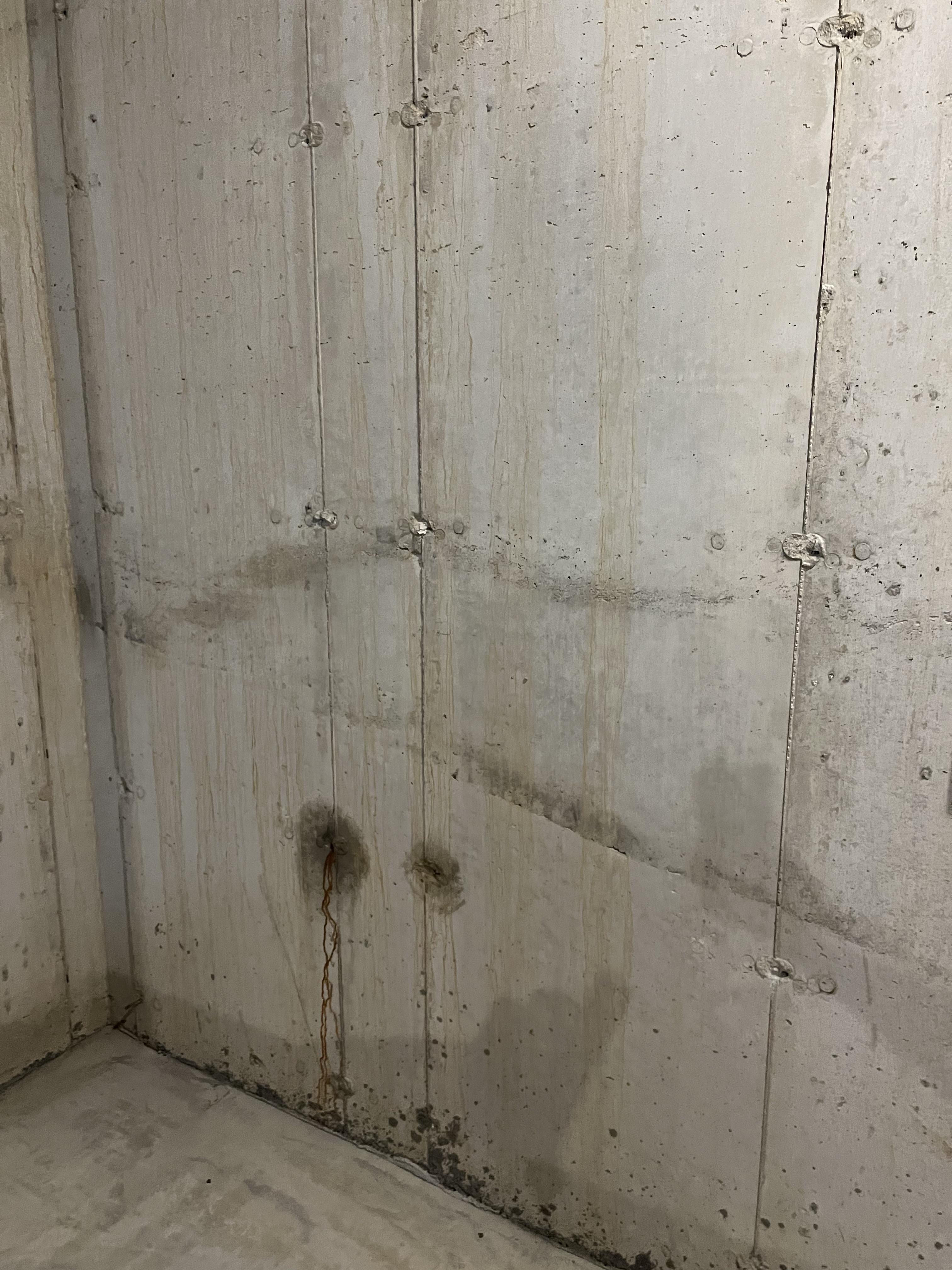 Basement Issue? | Scrolller