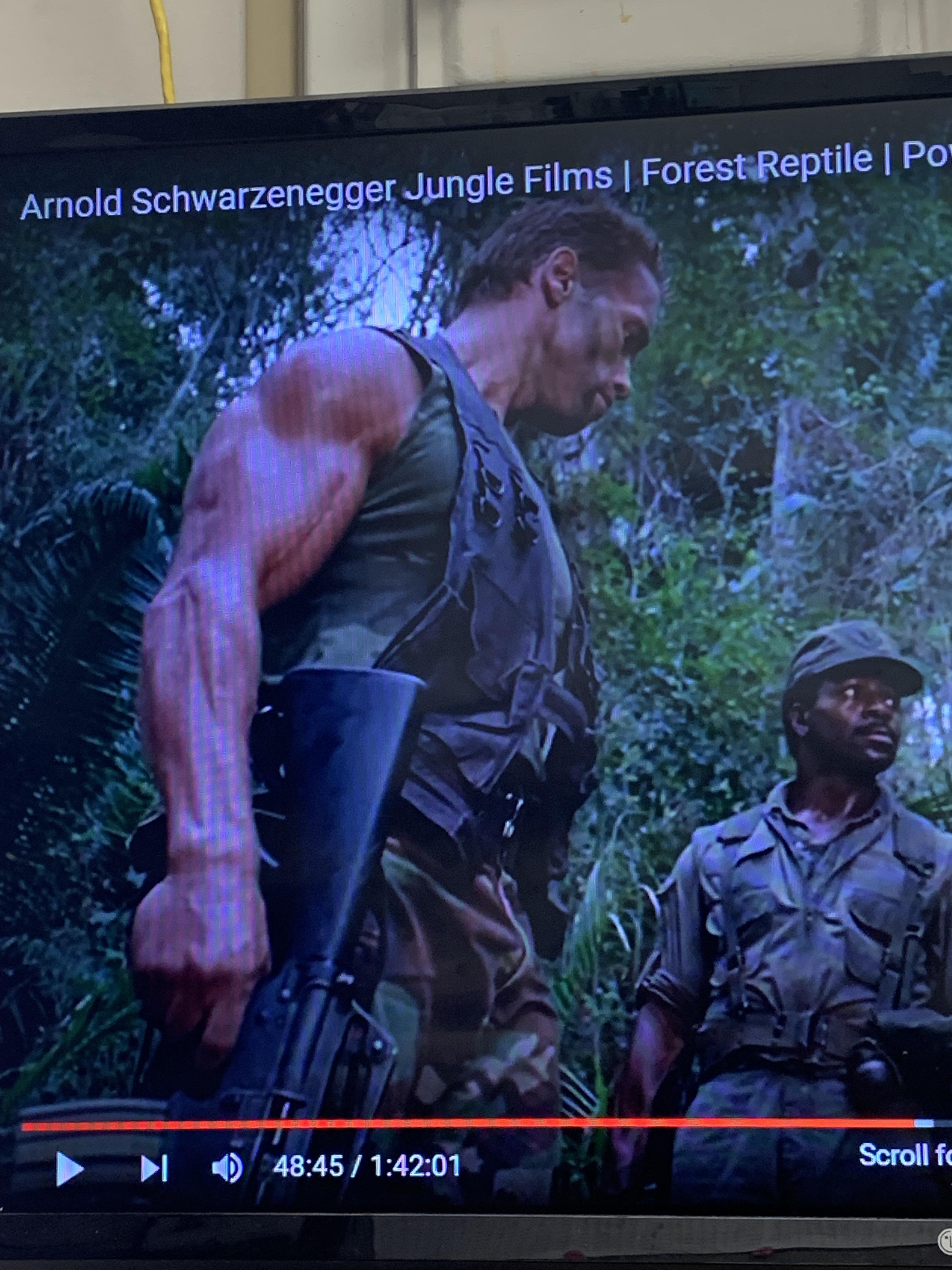 Damn You Arnold | Scrolller