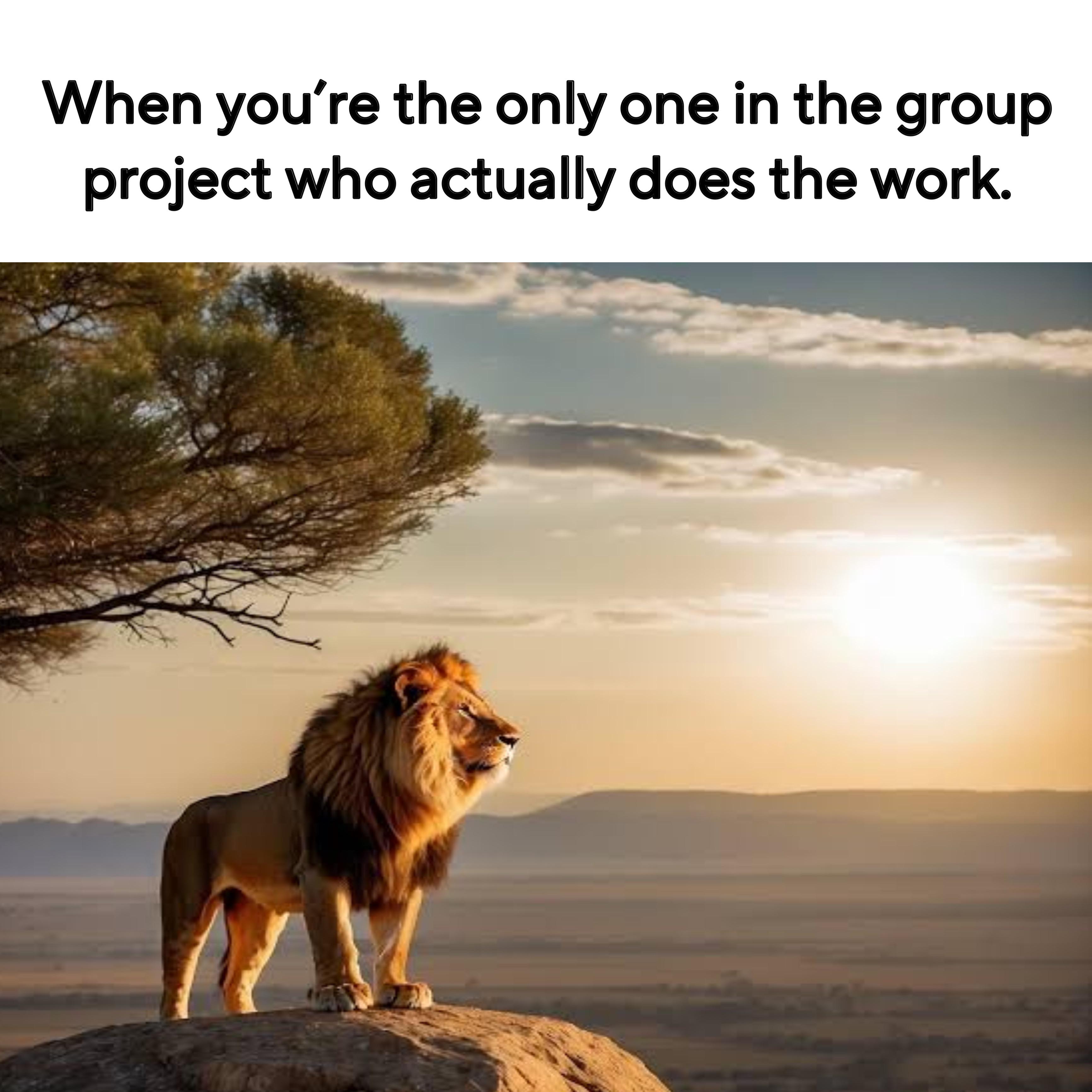 Group project | Scrolller