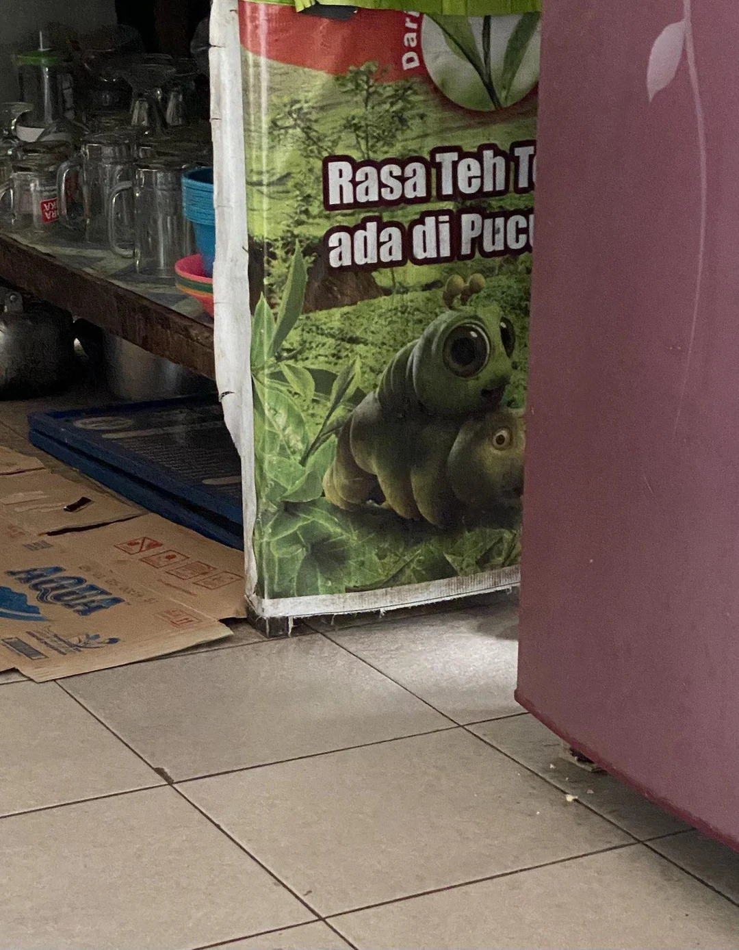 Indonesia 🇮🇩 | Scrolller