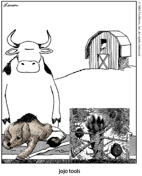 Jojolion has a strong 'cow tools' vibe | Scrolller