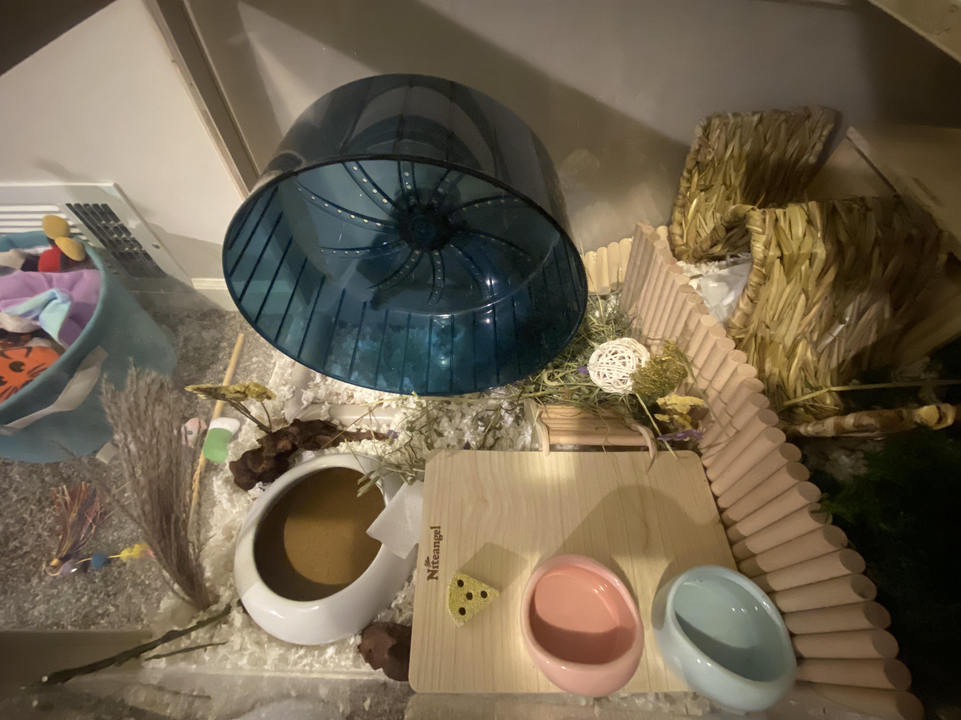 Help with enclosure! | Scrolller