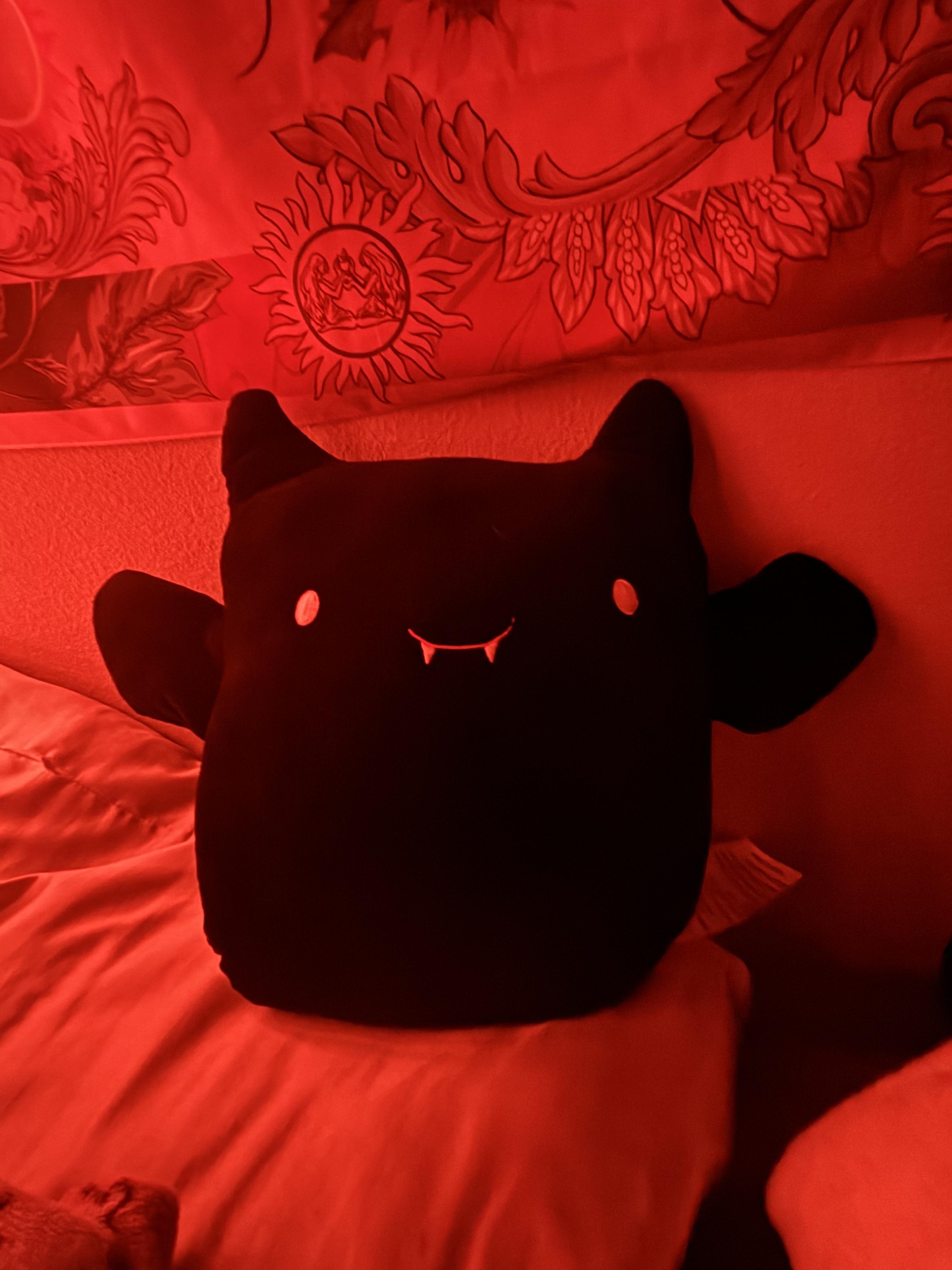 The plushies on my bed | Scrolller