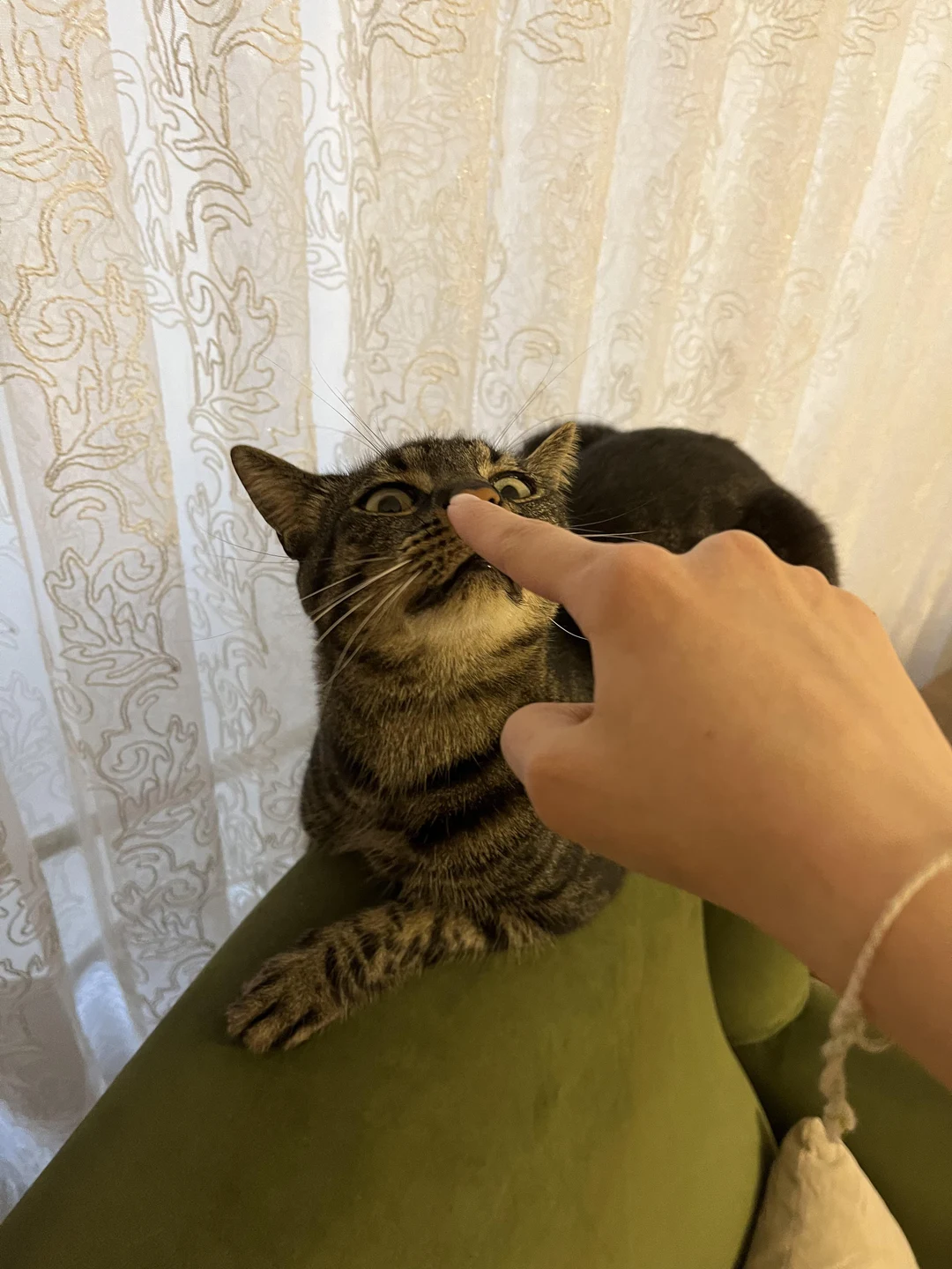 beep 🫵 | Scrolller