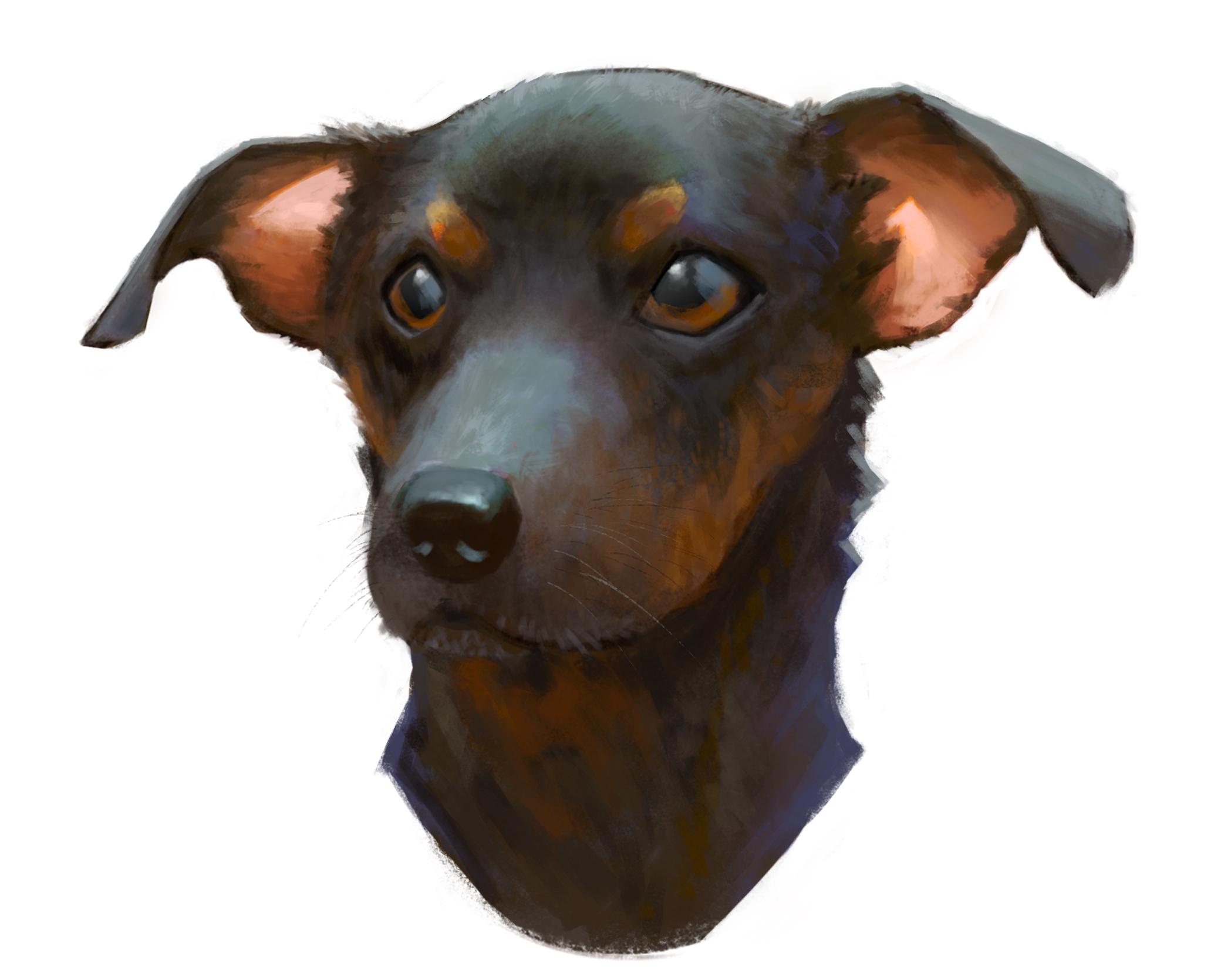 Dog illustration | Scrolller