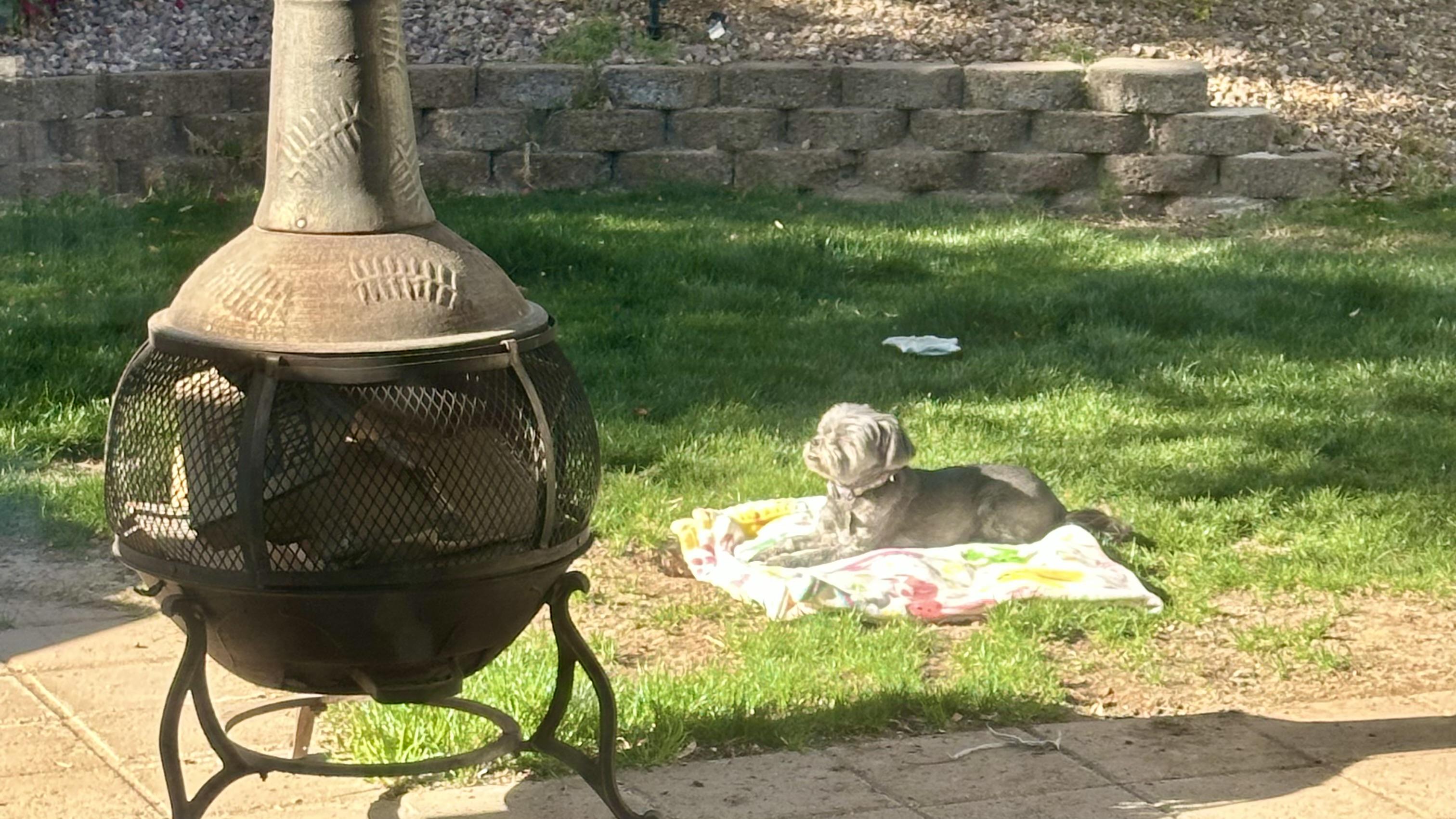 I present, my spoiled brat | Scrolller