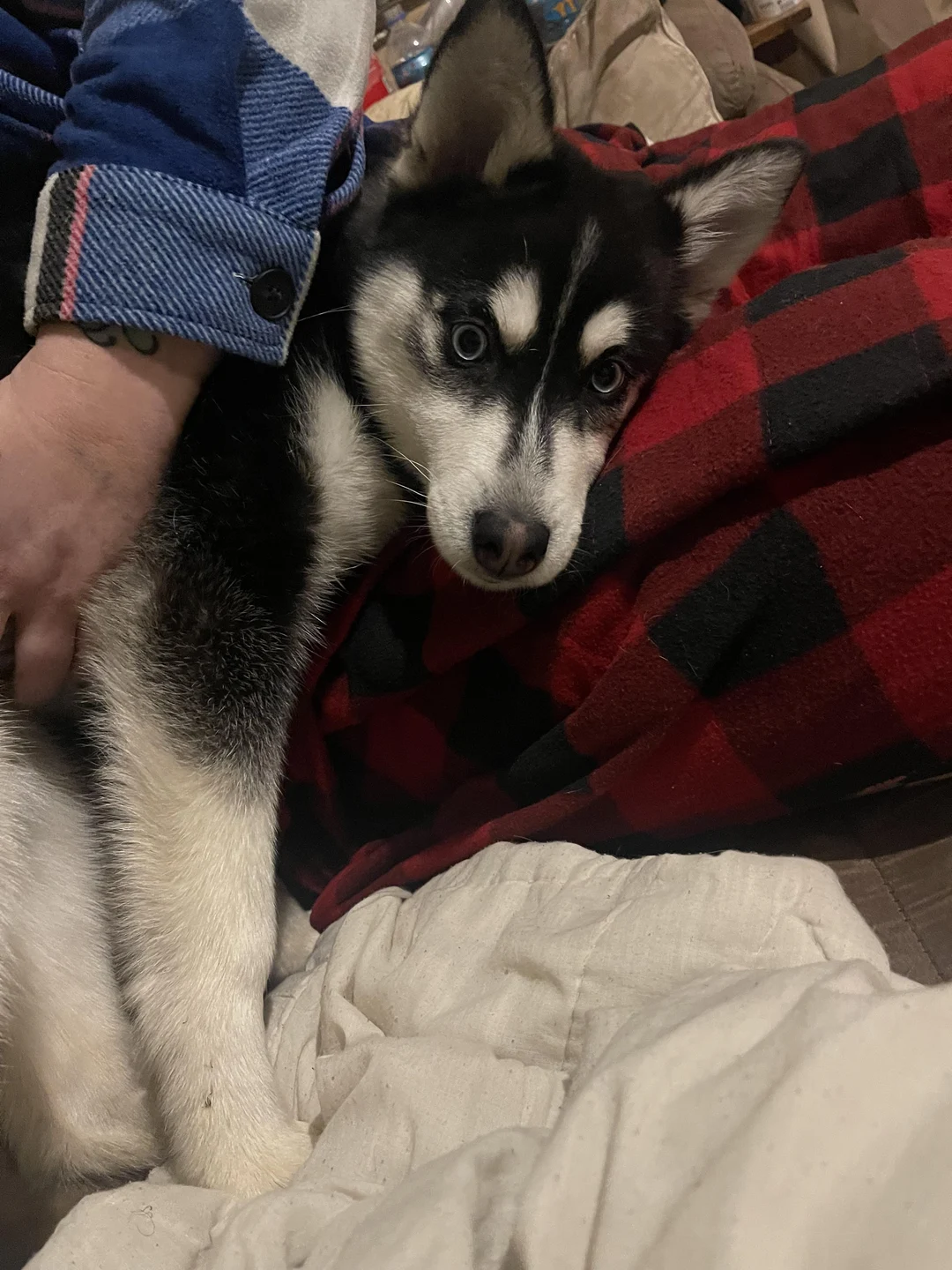 Visible confusion | Scrolller