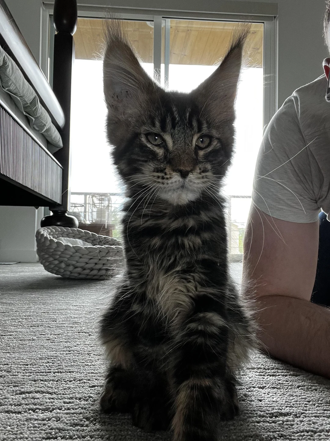 Meet Bruce Wayne | Scrolller