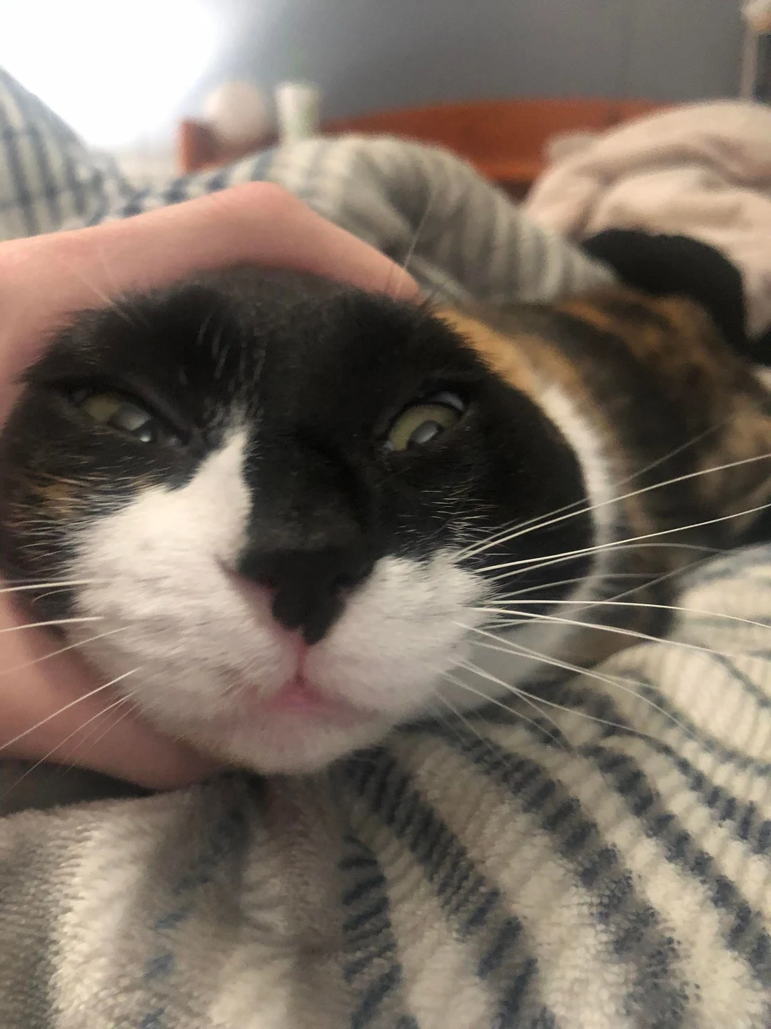 Stinky girl | Scrolller