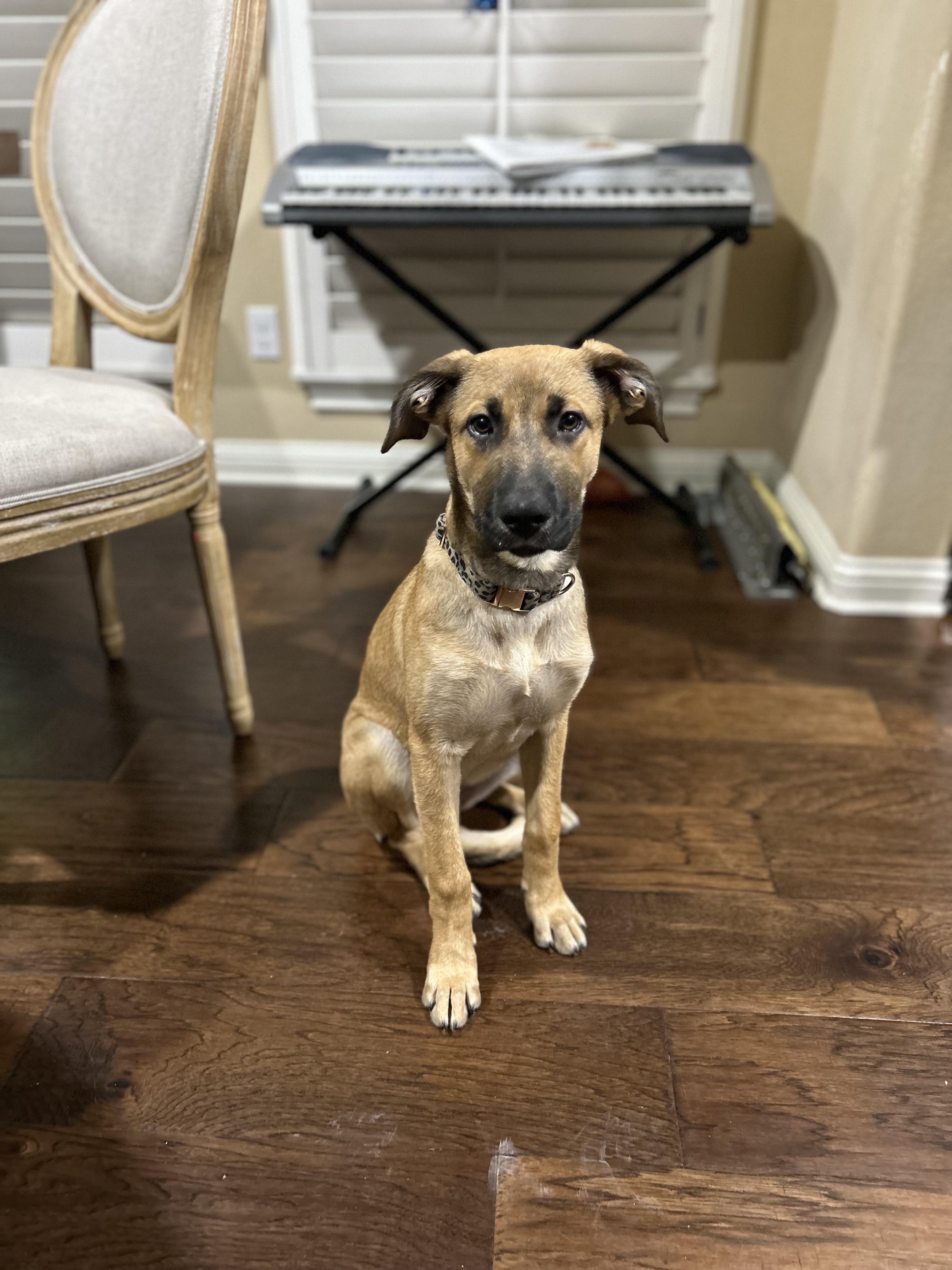 Conflicting information about when to start | Scrolller