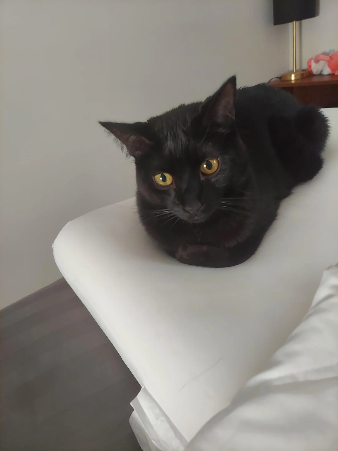 burnt loaf | Scrolller