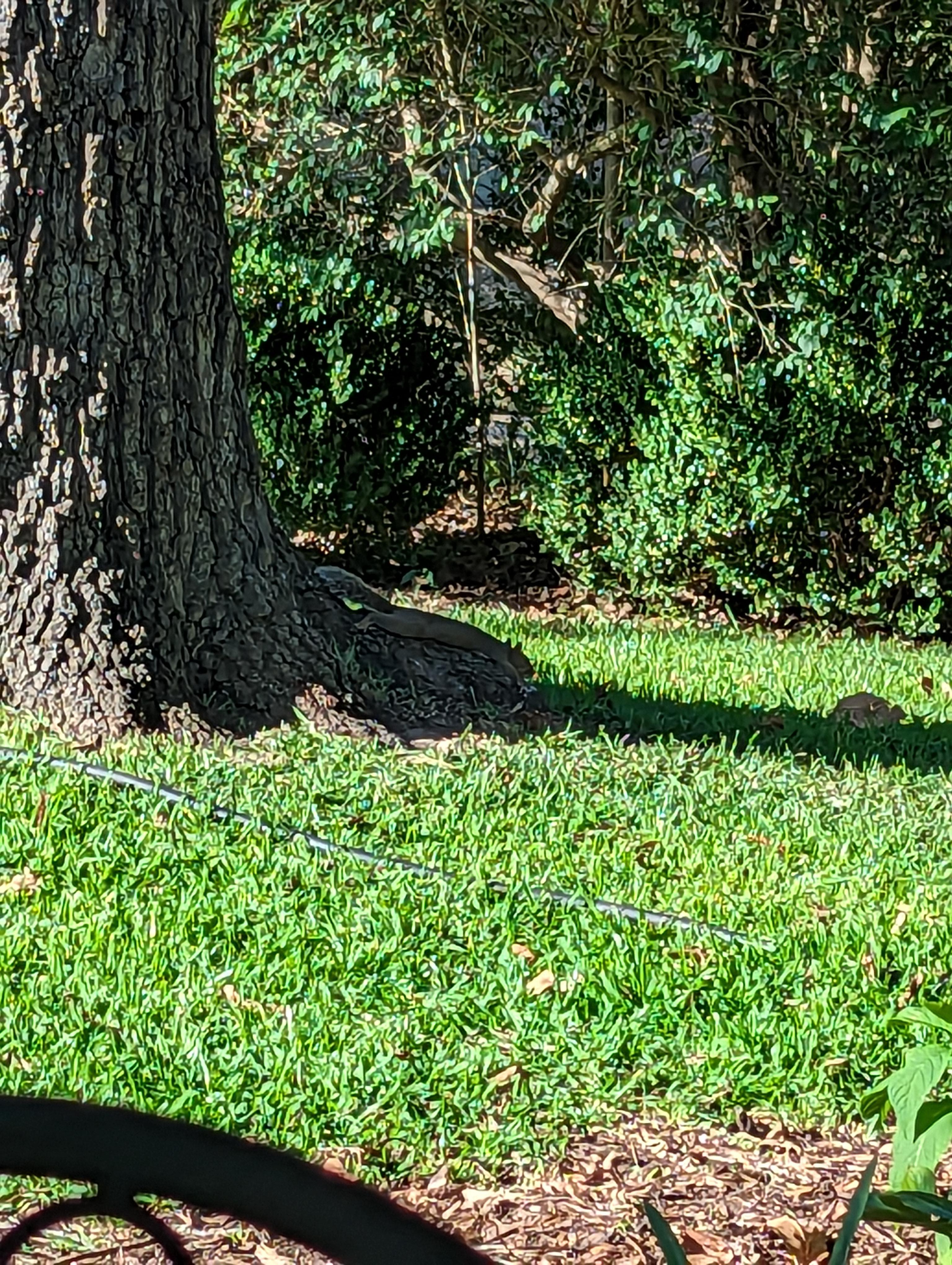 Lounging | Scrolller