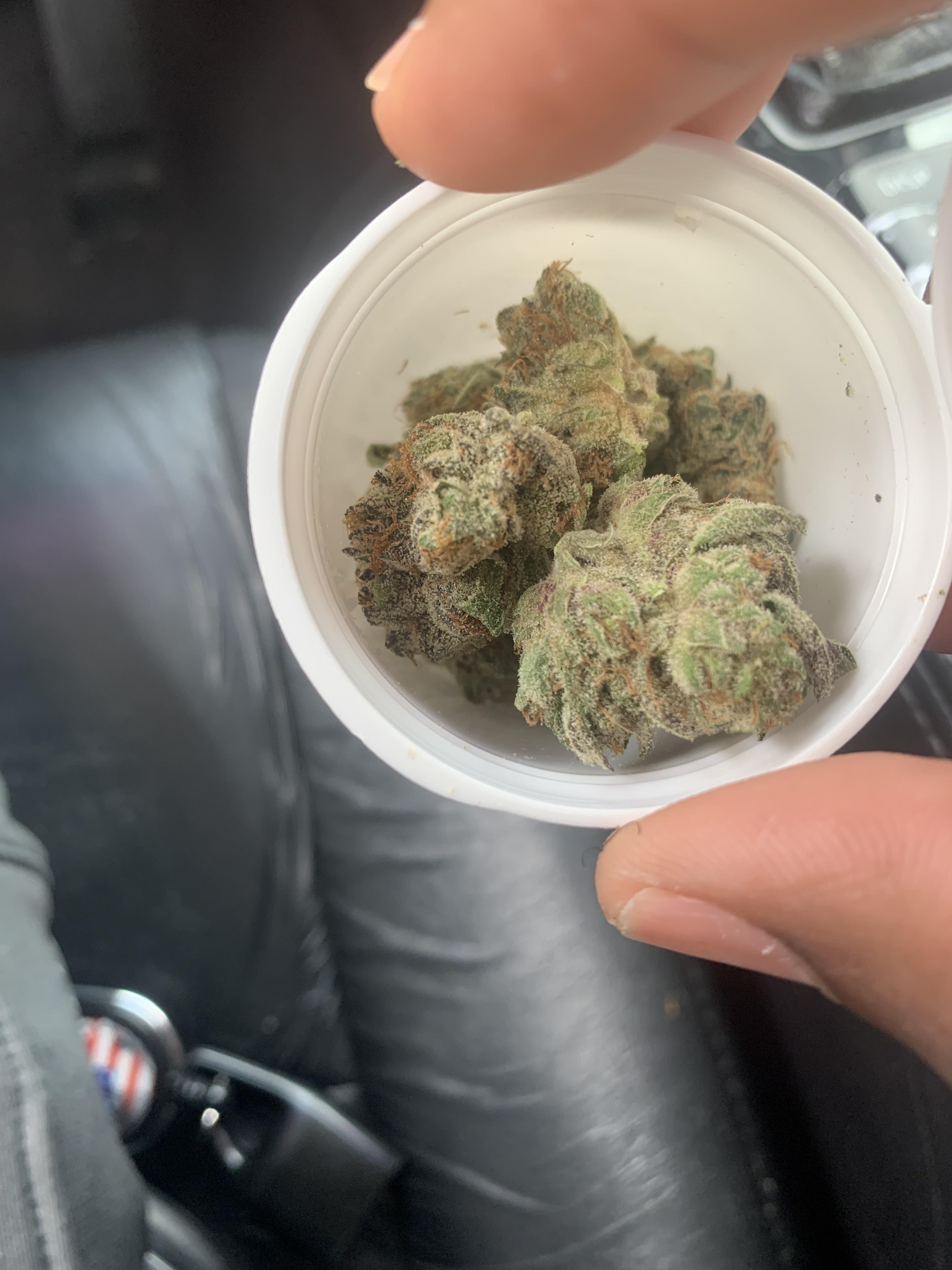 Durban Funk 🧪😈 | Scrolller