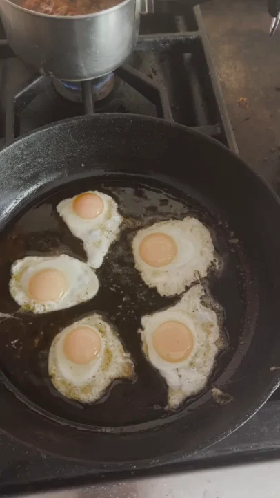 Very slidey quail eggs in a garbage pile BSR | Scrolller