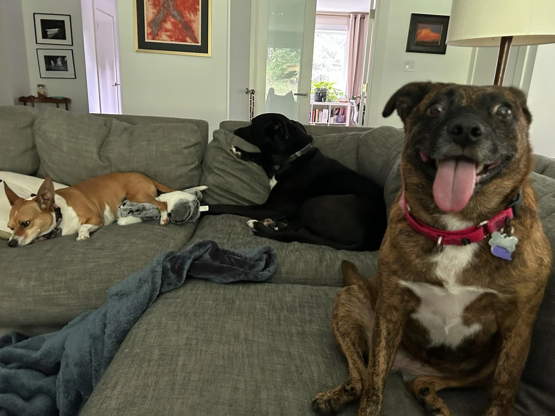 Rosie and her pals | Scrolller