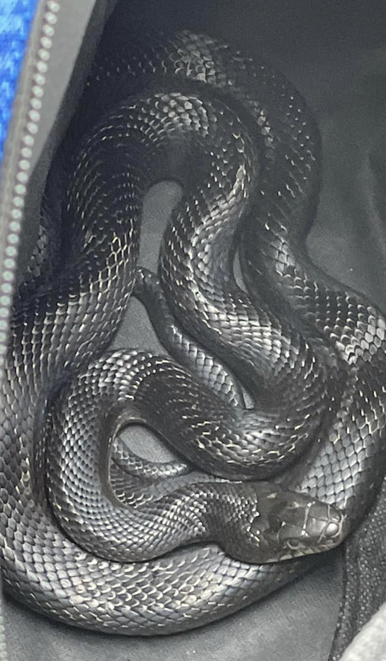 Help with identification | Scrolller