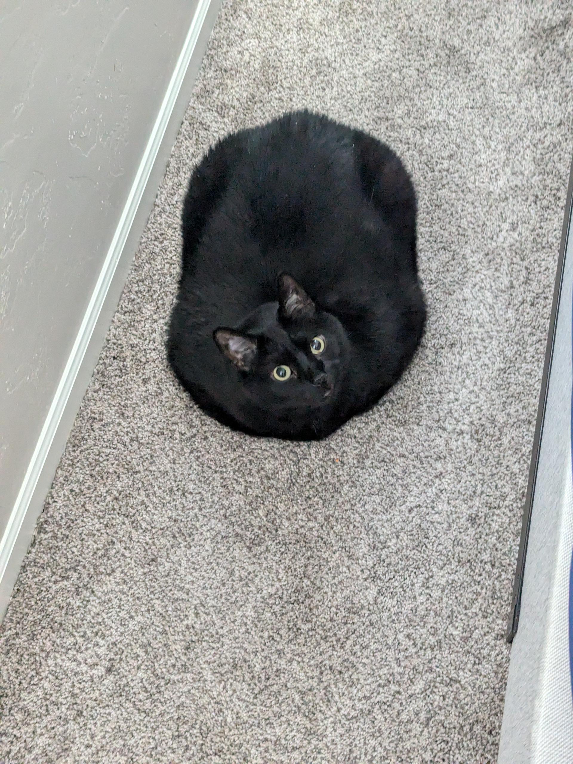 Large void loaf | Scrolller