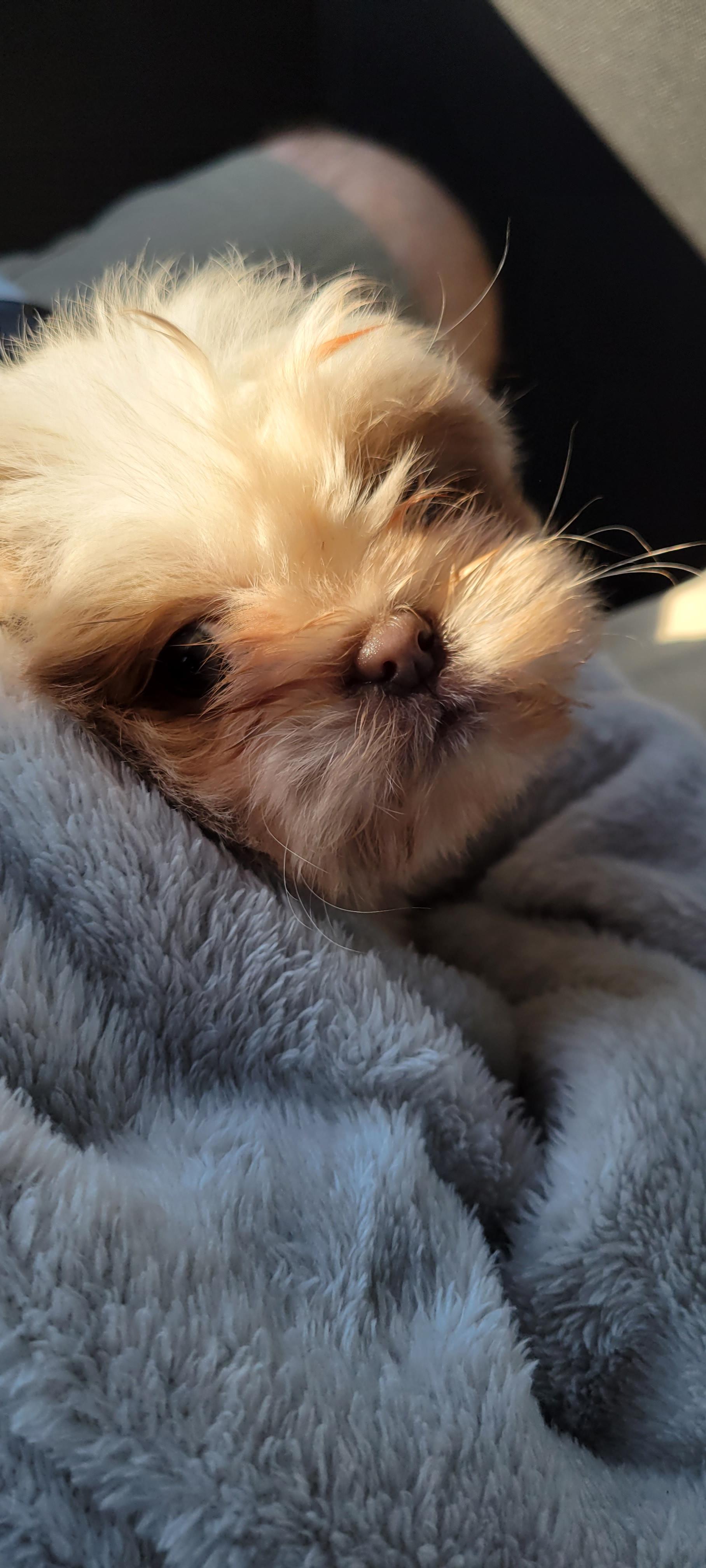 She's finally in my arms | Scrolller