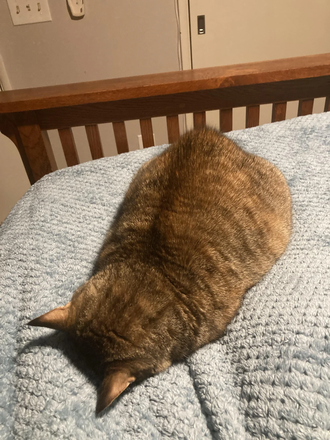 Classic loaf [OC] | Scrolller