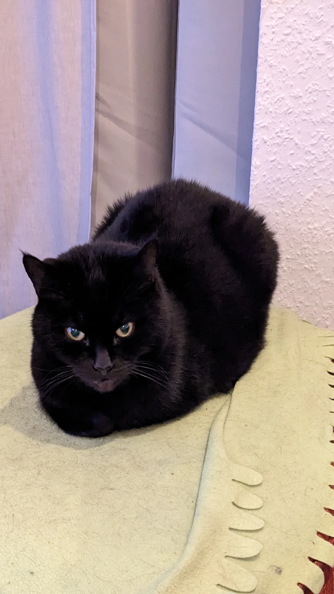 Void loaf | Scrolller