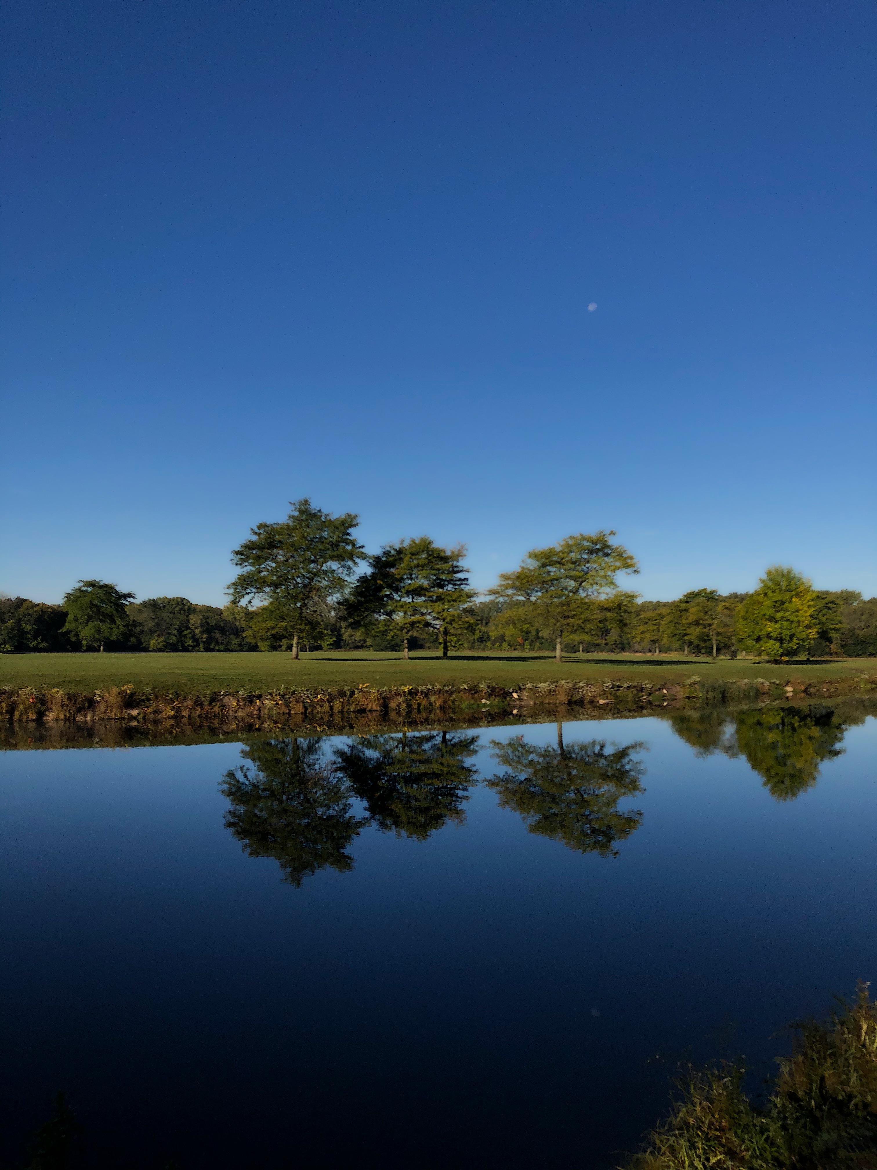 Nature’s mirror | Scrolller