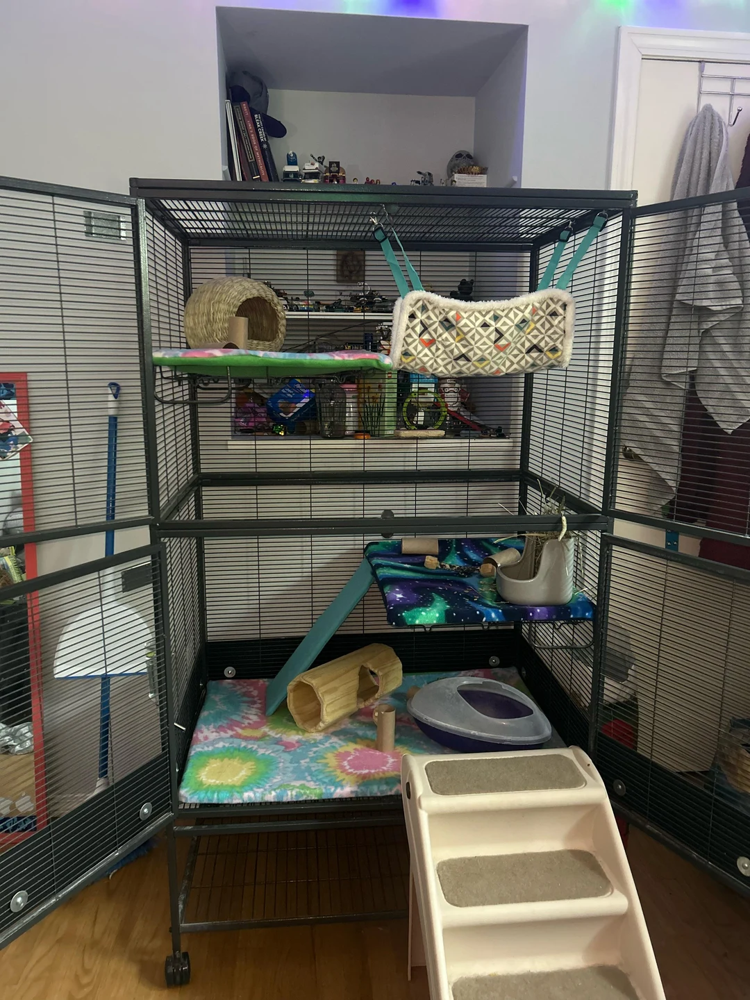 Cage upgrade!!! (And first ever post😊) | Scrolller