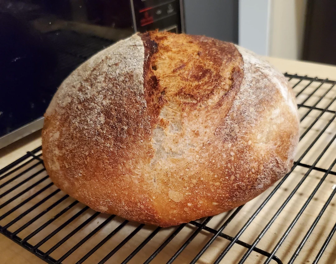 Sourdough rye | Scrolller