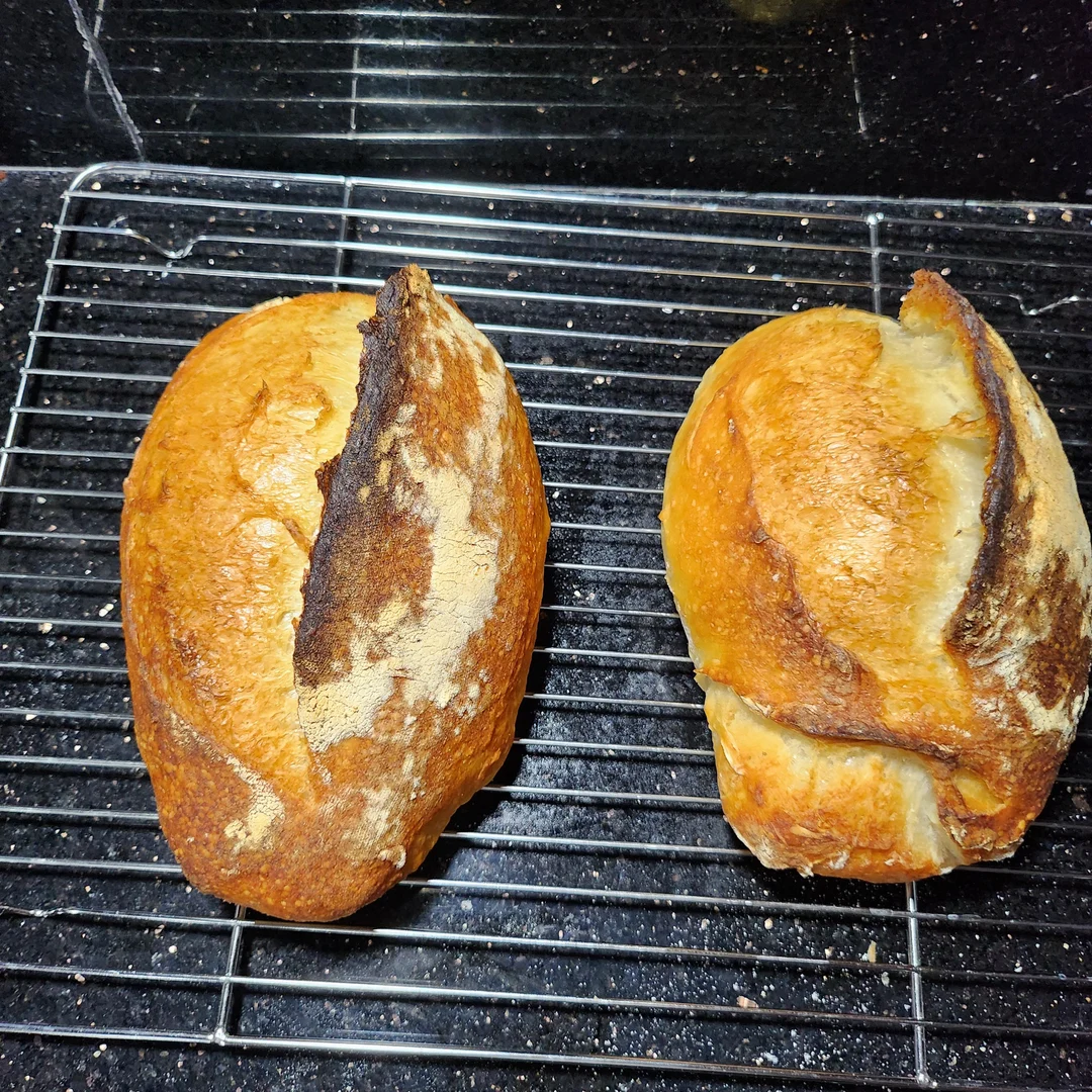 Finished loaves | Scrolller