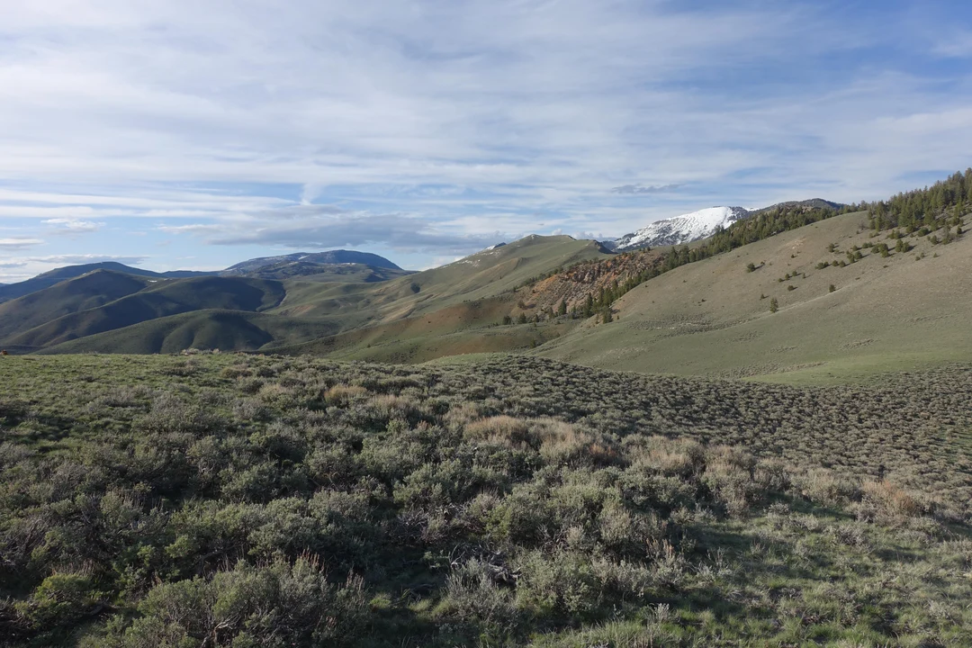 Rolling hills of the Montana-Idaho border [5472x3648] [OC] | Scrolller